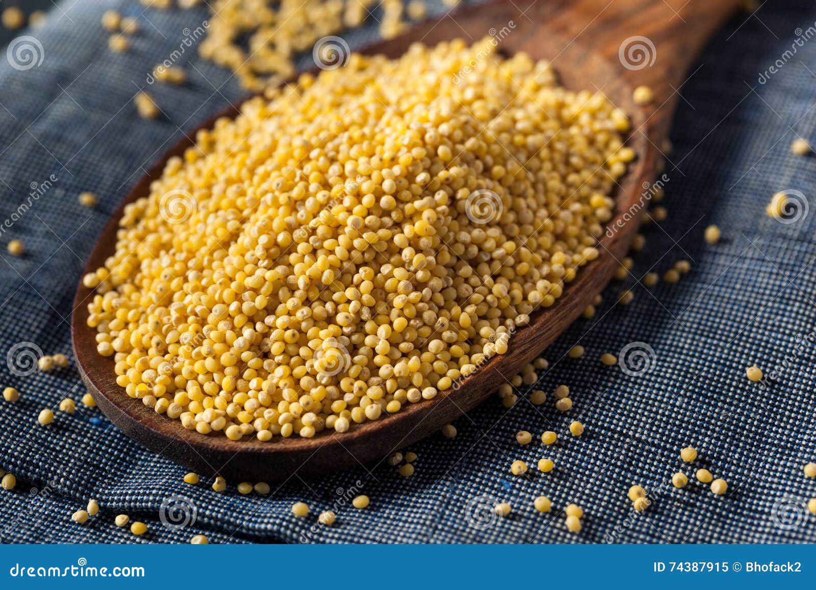 Raw Organic Healthy Millet stock image. Image of millet - 74387915