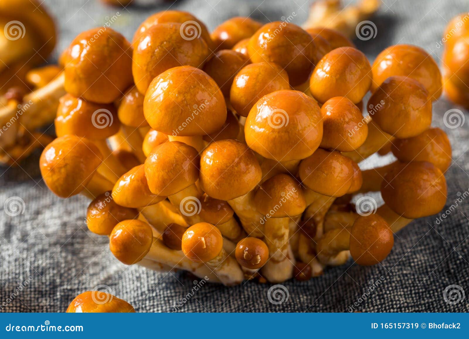 Raw Organic Japanese Nameko Mushrooms Stock Image - Image of fungi ...