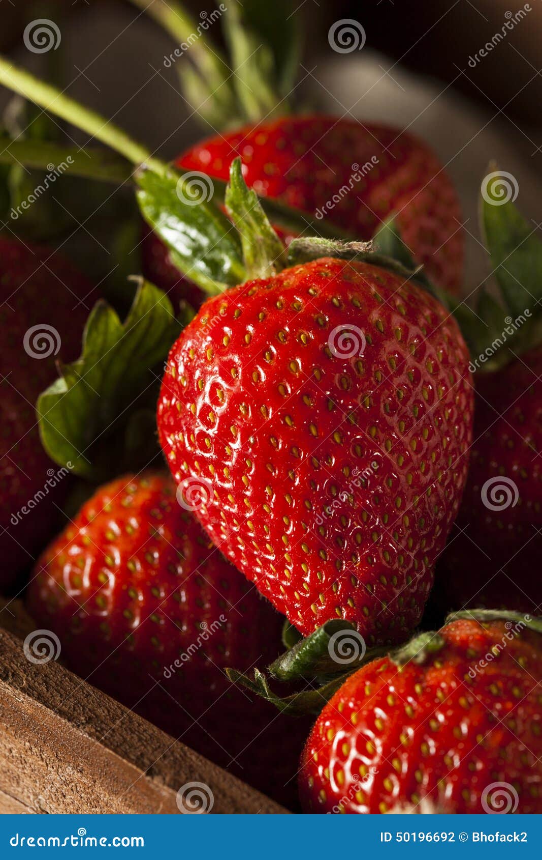Raw Organic Long Stem Strawberries Stock Photo - Image of crop, juicy ...