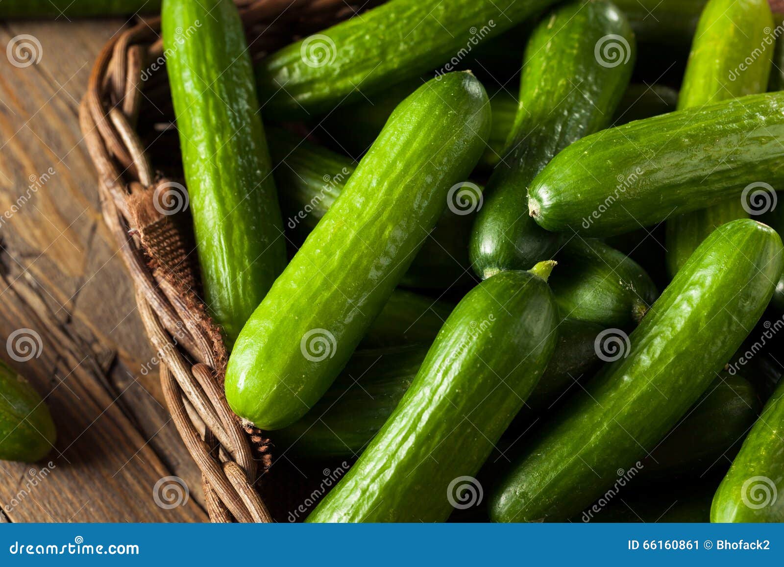 Raw Organic Mini Baby Cucumbers Stock Image - Image of green ...