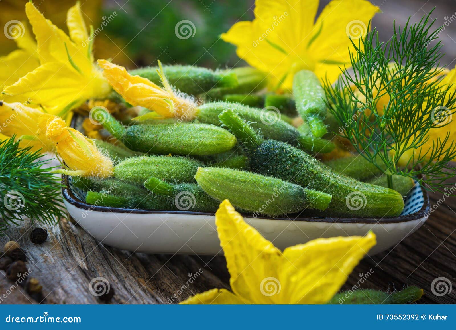 Raw Organic Mini Cucumbers stock photo. Image of diet - 73552392