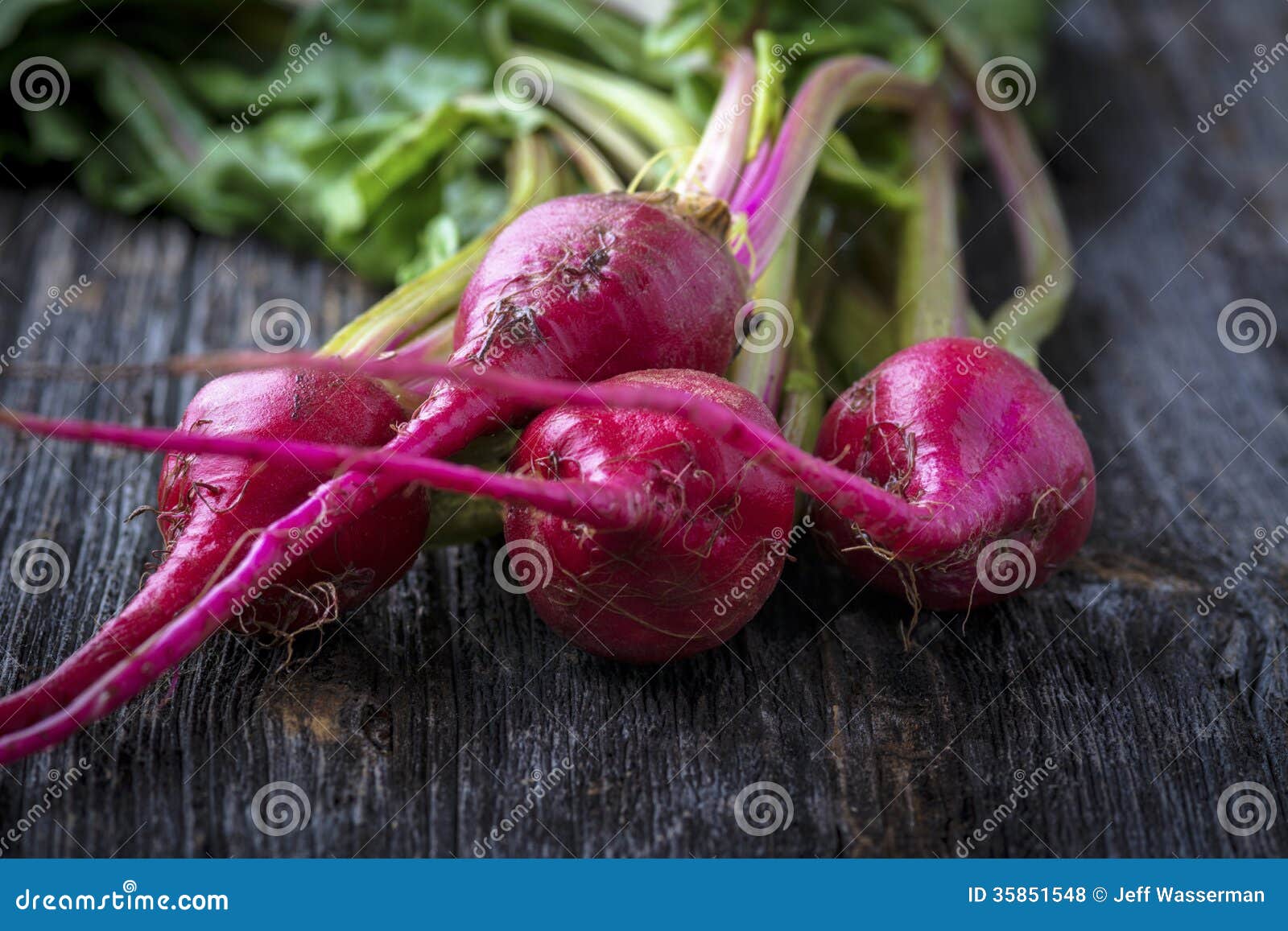 Raw Organic Miniature Red Candy Stripe Beets Stock Photo - Image of ...