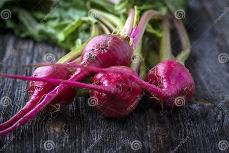 Raw Organic Miniature Red Candy Stripe Beets Stock Photo - Image of ...