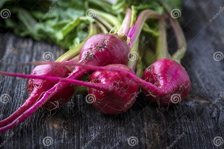 Raw Organic Miniature Red Candy Stripe Beets Stock Photo - Image of ...
