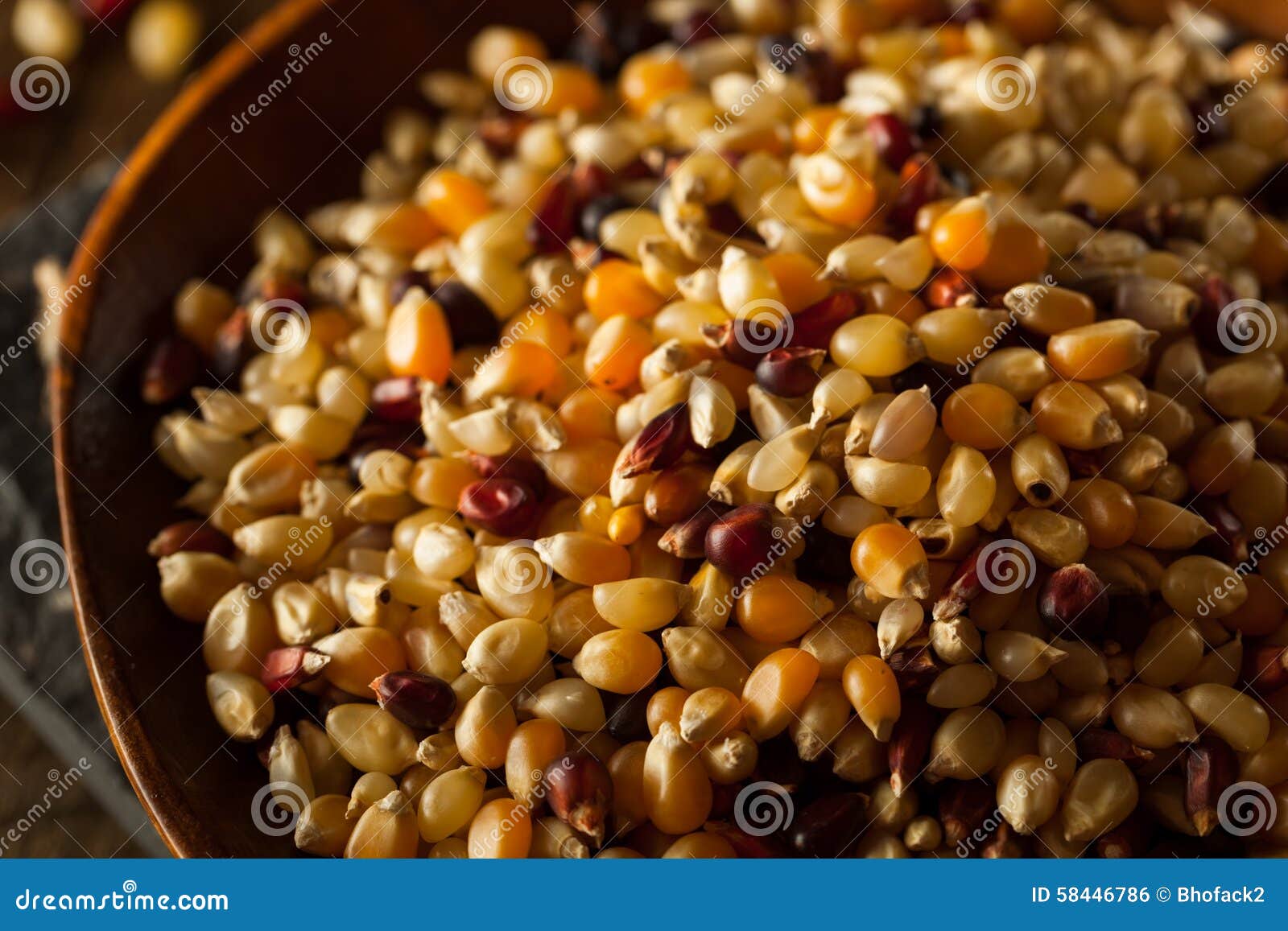 Raw Organic Multi Colored Calico Popcorn Stock Photo - Image of crop ...