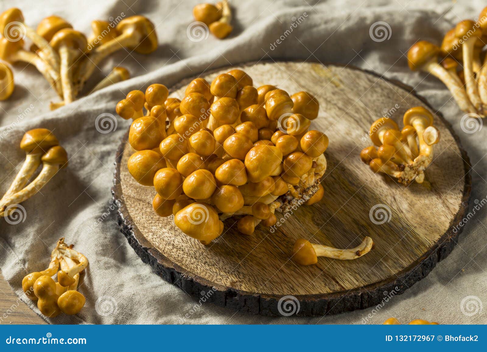 Raw Organic Nameko Mushrooms Stock Image - Image of nature, orange ...