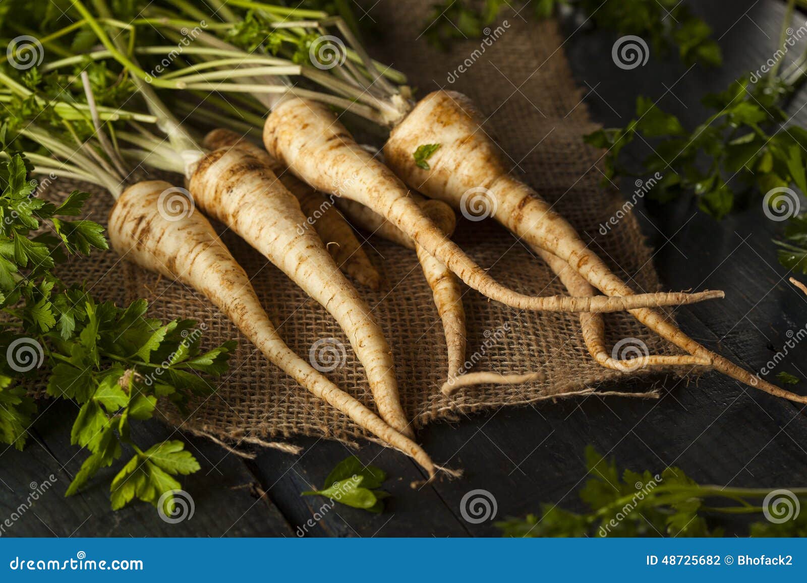 Raw Organic Parsley Root stock photo. Image of gourmet - 48725682