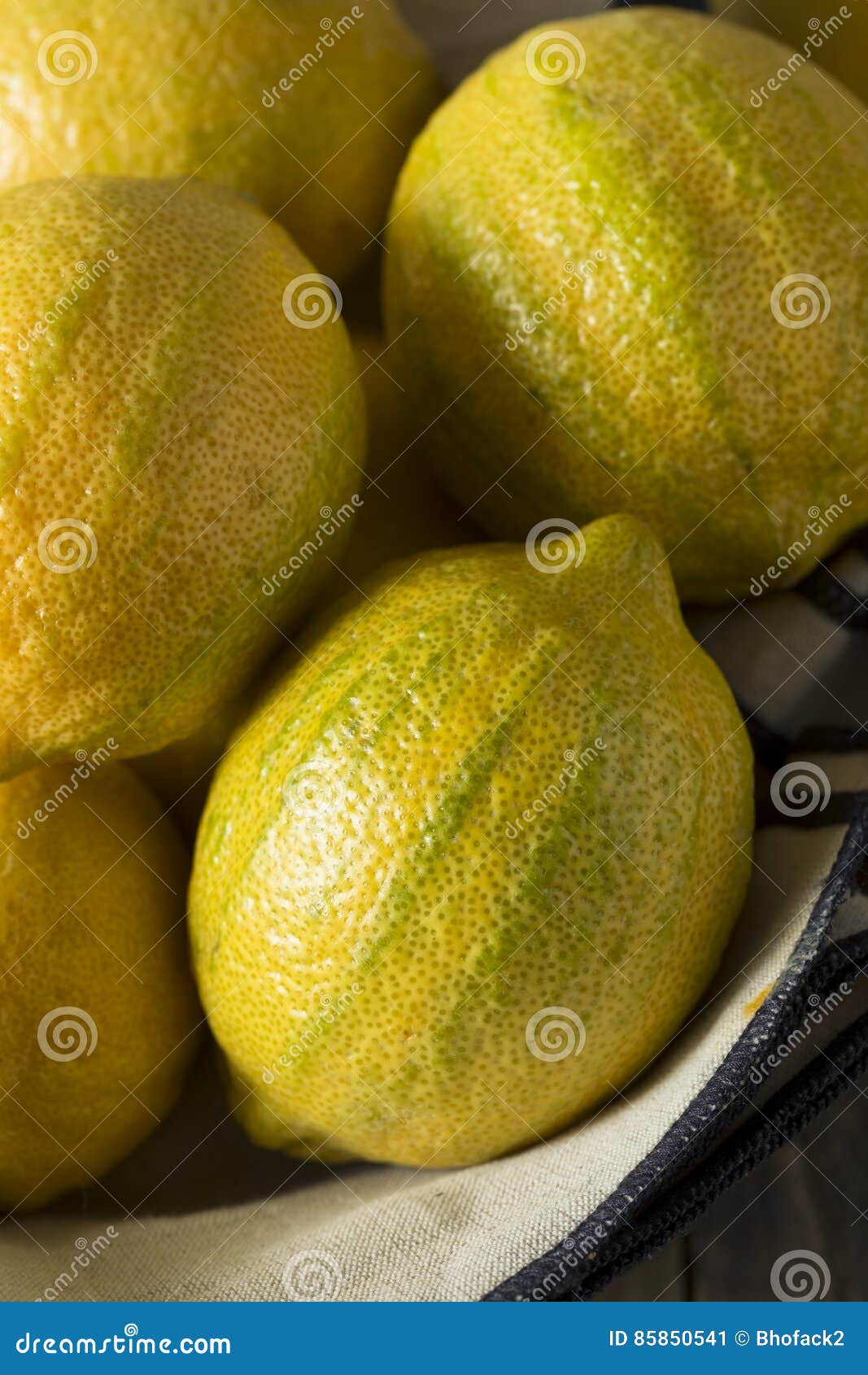 Raw Organic Pink Lemons stock image. Image of nutrition - 85850541