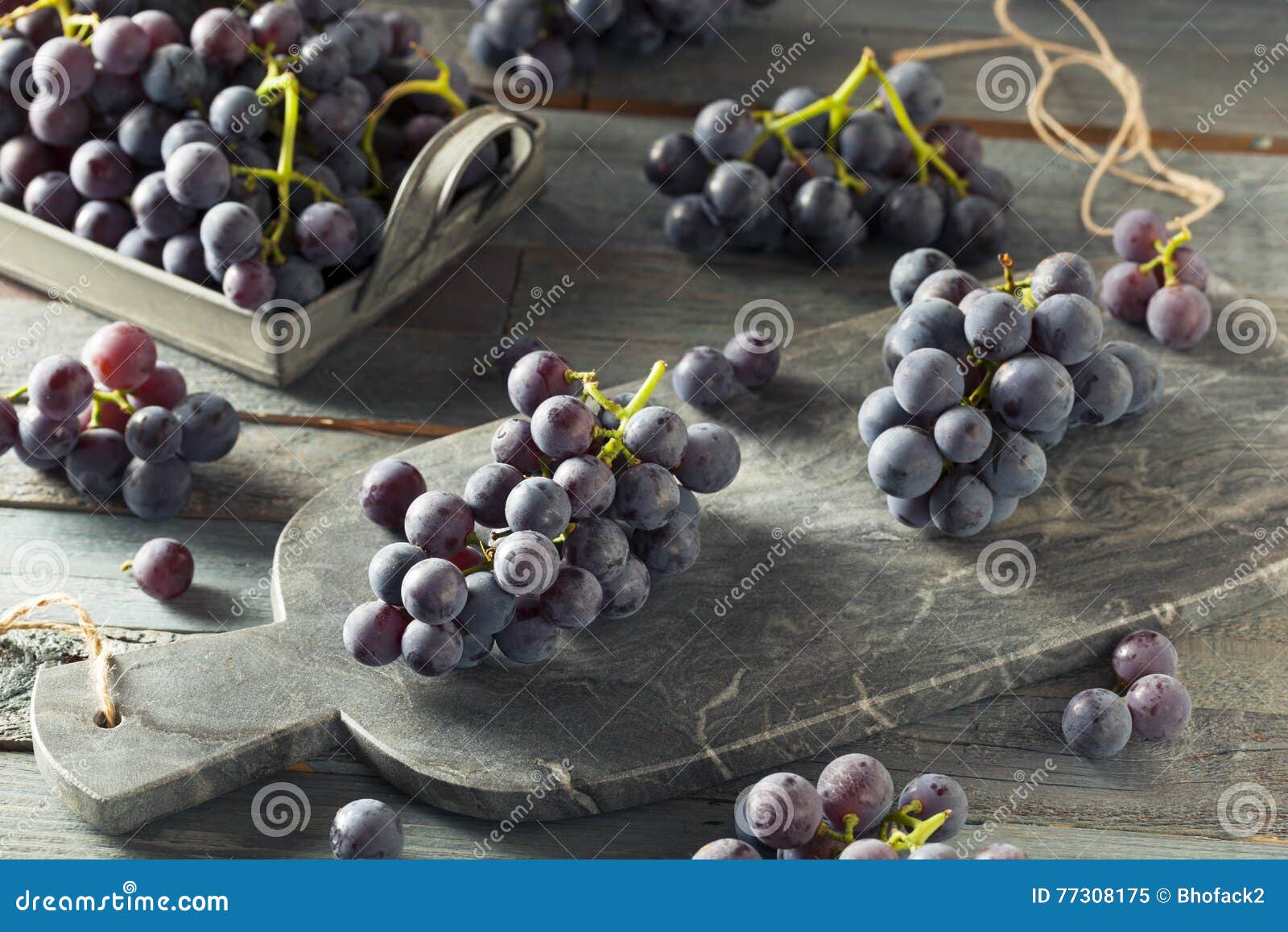 Raw Organic Purple Concord Grapes Stock Image - Image of grapevine ...