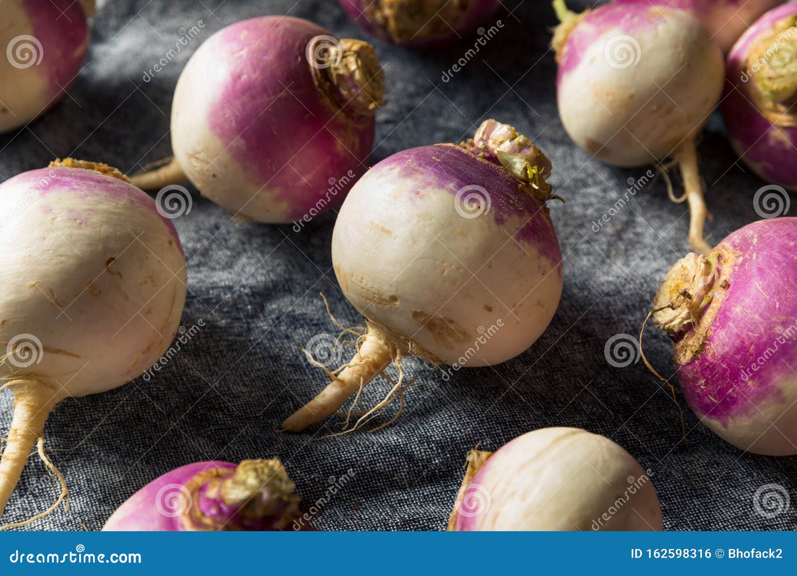 Raw Organic Purple Turnips stock photo. Image of cooking - 162598316