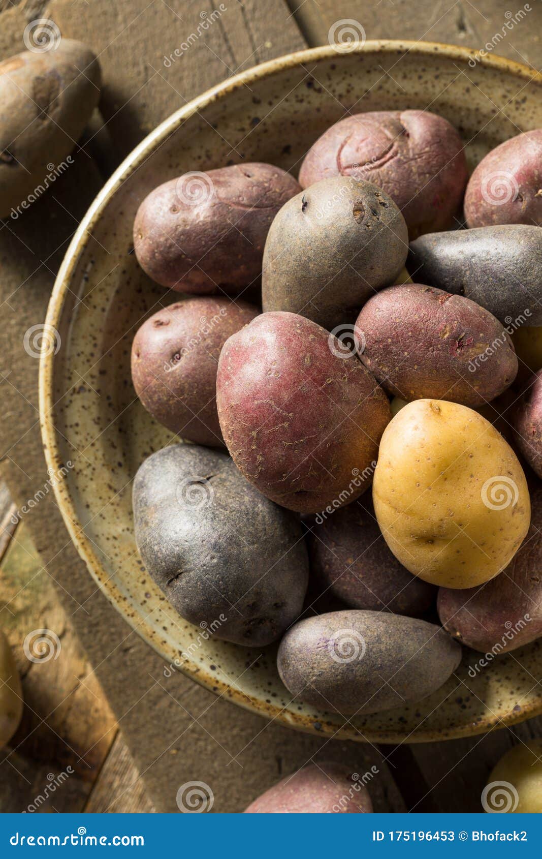 Raw Organic Rainbow Baby Potatoes Stock Image - Image of cooked ...