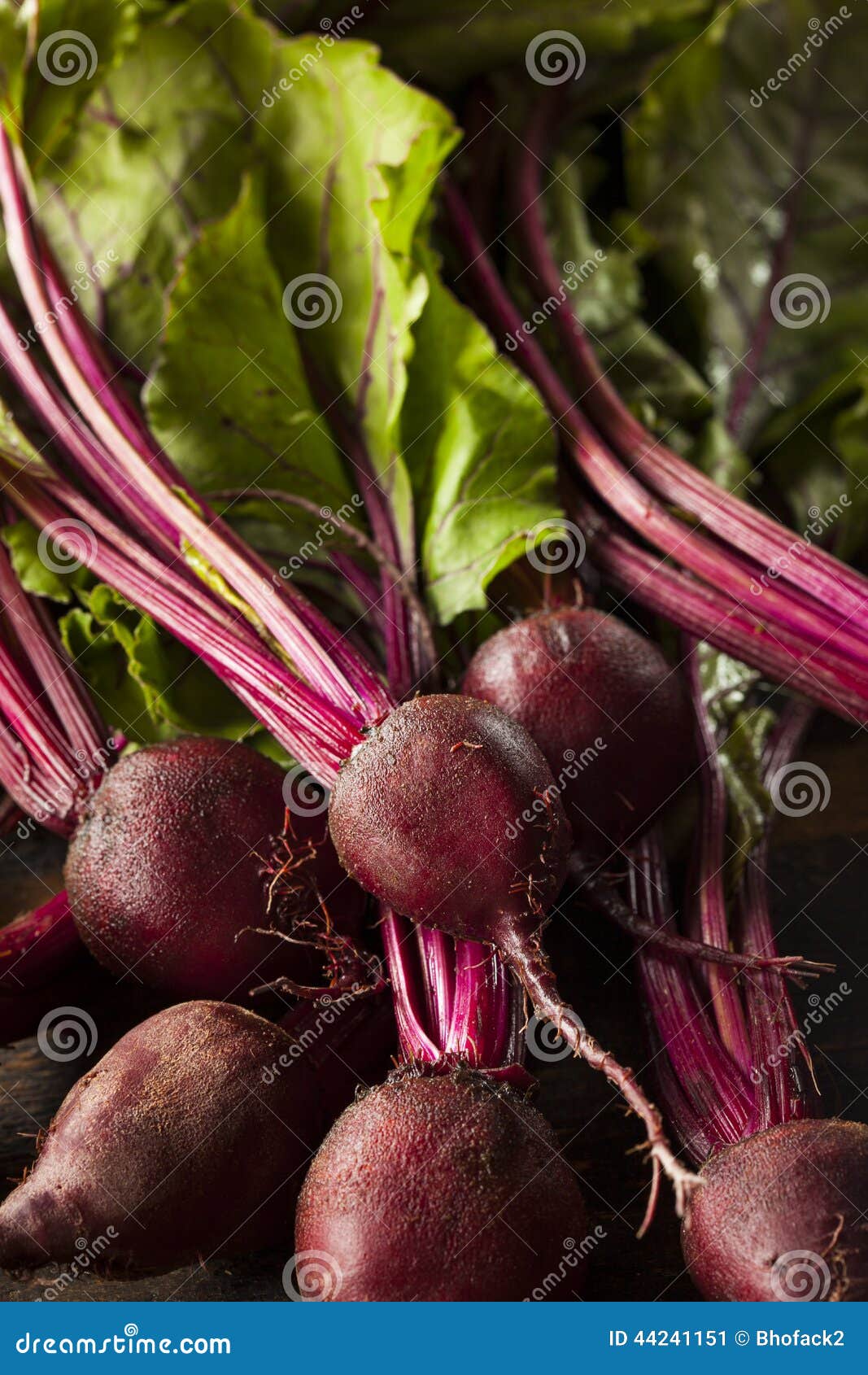 Raw Organic Red Beets stock image. Image of fruit, antioxidant - 44241151