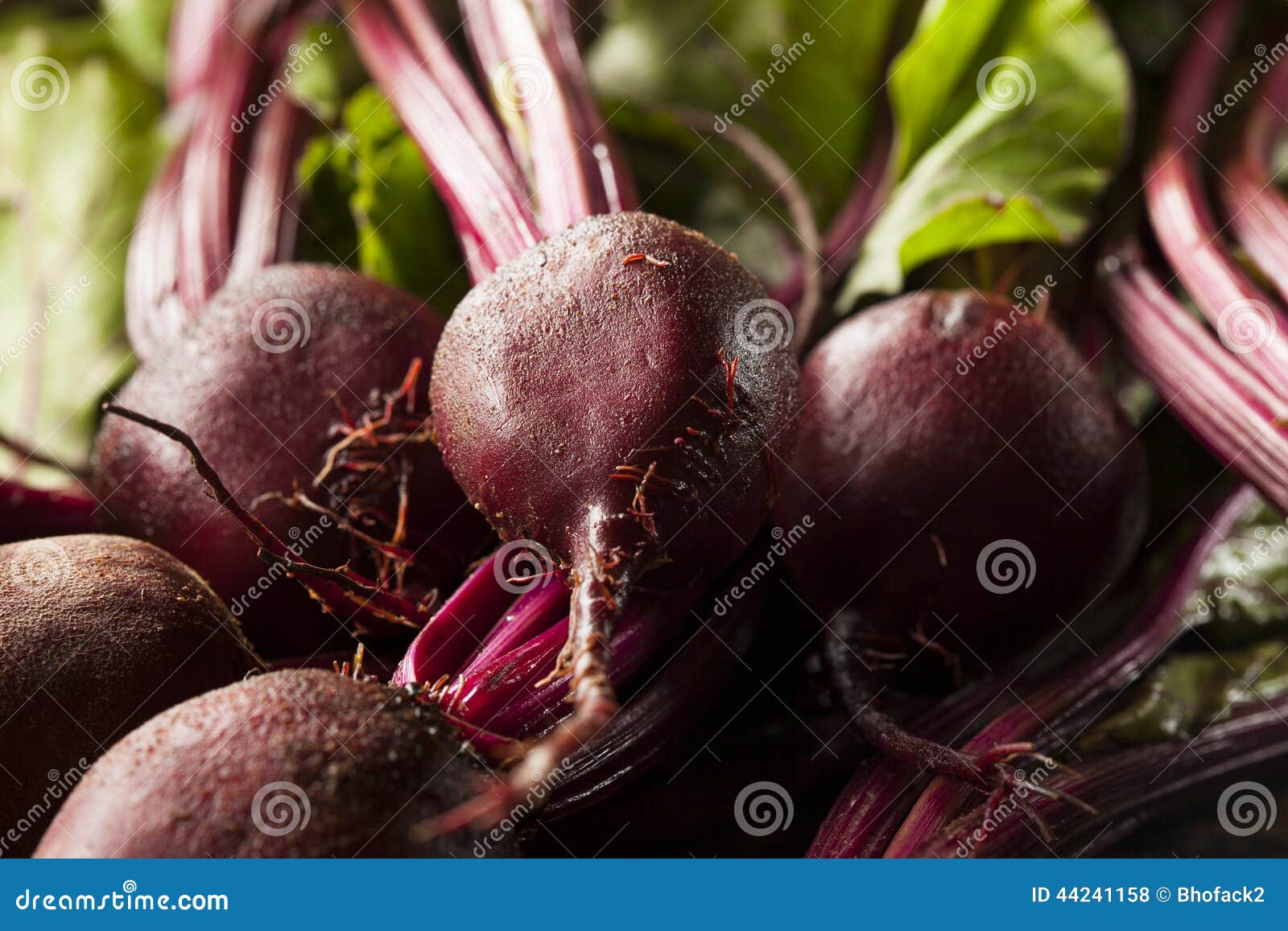 Raw Organic Red Beets stock photo. Image of ingredient - 44241158