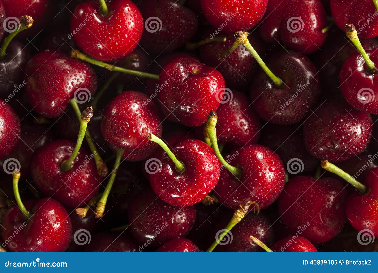 Raw Organic Red Cherries stock photo. Image of delicious - 40839106
