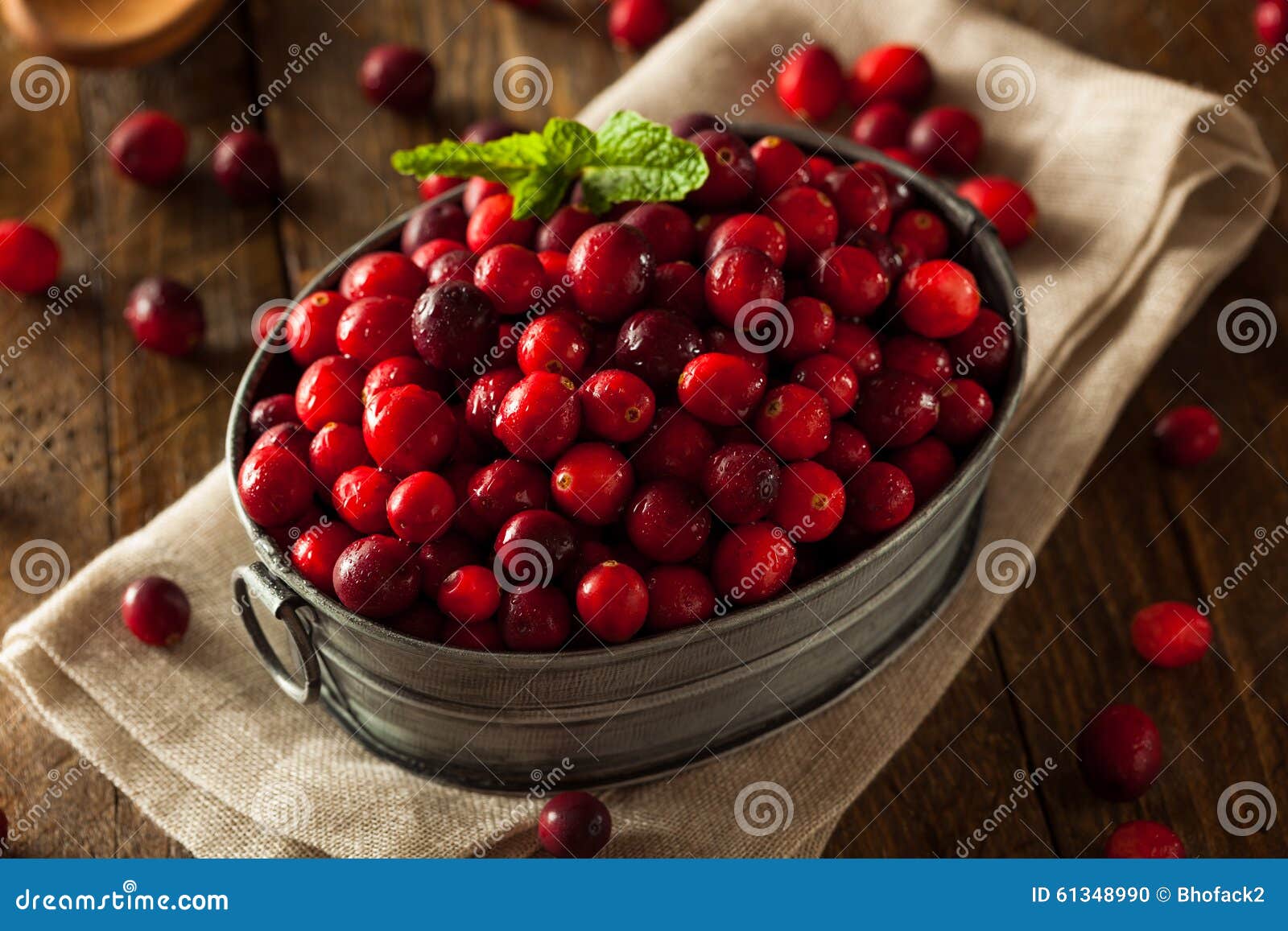 Raw Organic Red Cranberries Stock Photo - Image of ingredient, heap ...