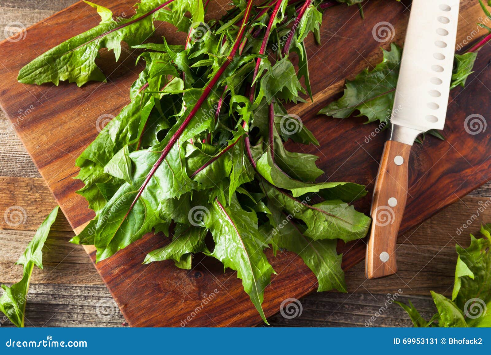 Raw Organic Red Dandelion Greens Stock Image - Image of dandelion ...