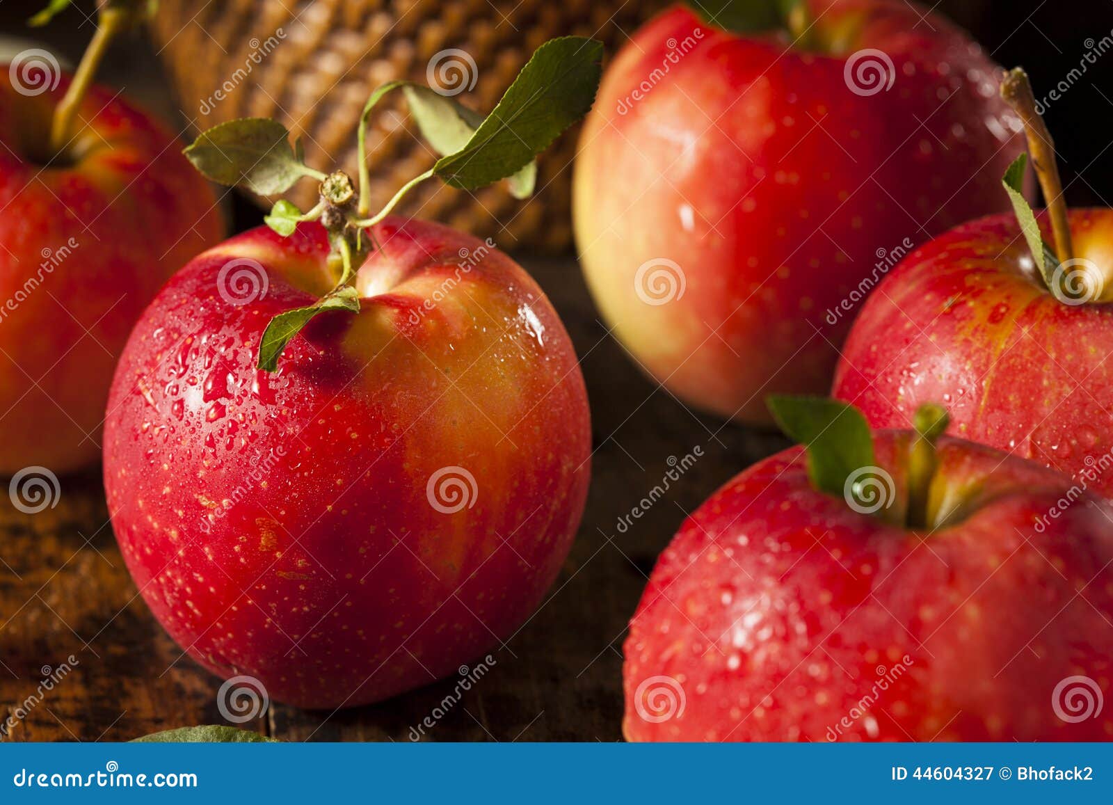 Raw Organic Red Gala Apples Stock Image - Image of apples, apple: 44604327