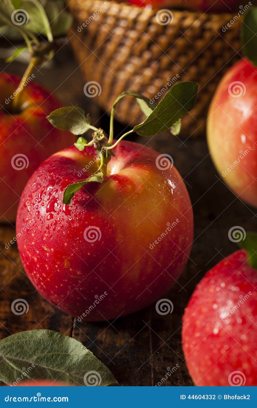 Raw Organic Red Gala Apples Stock Photo - Image of ripe, fresh: 44604332