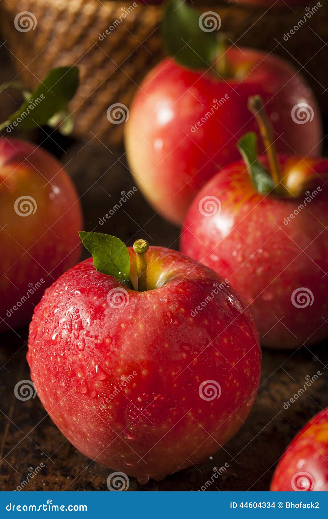 Raw Organic Red Gala Apples Stock Photo - Image of sweet, delicious ...