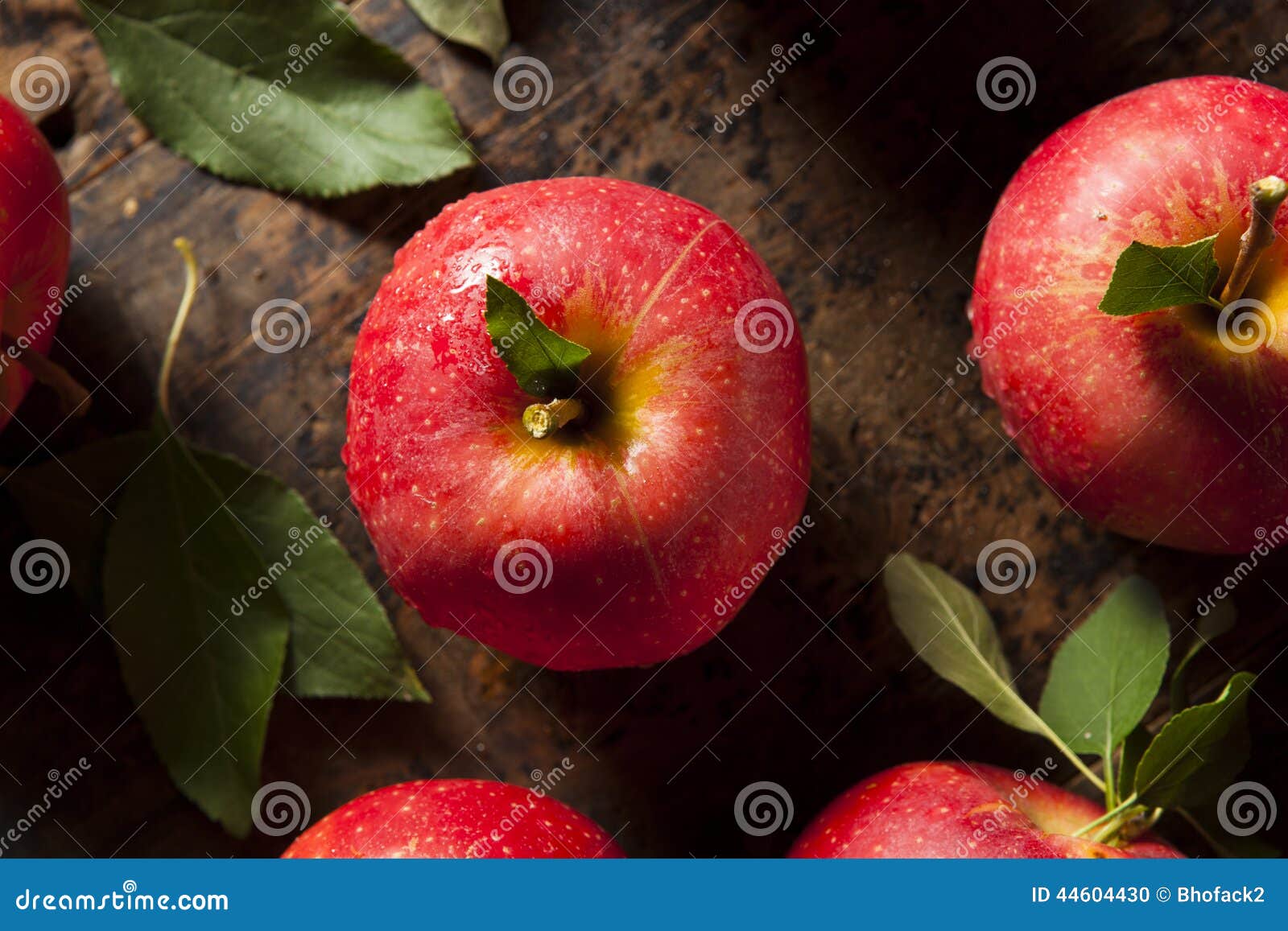 Raw Organic Red Gala Apples Stock Photo - Image of diet, apple: 44604430
