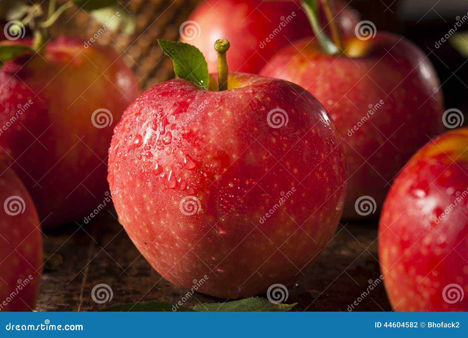 Raw Organic Red Gala Apples Stock Photo - Image of organic, refreshment ...