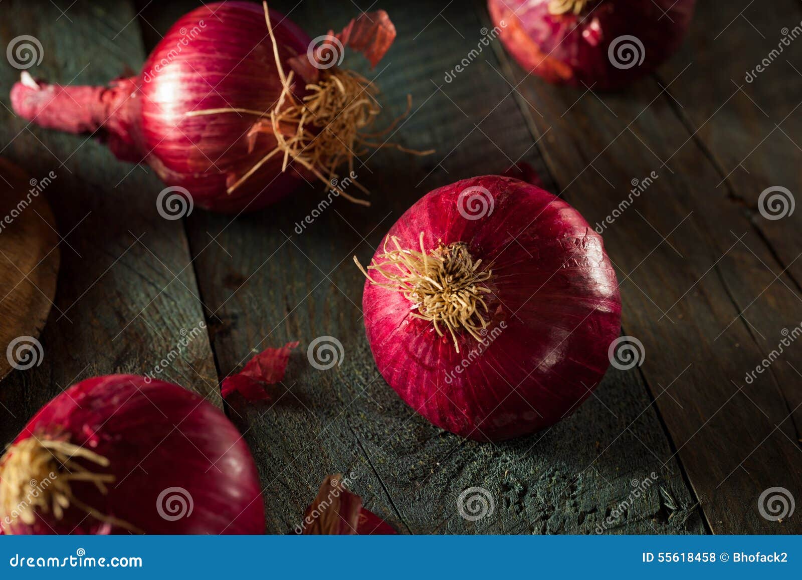 Raw Organic Red Onions stock photo. Image of harvest - 55618458