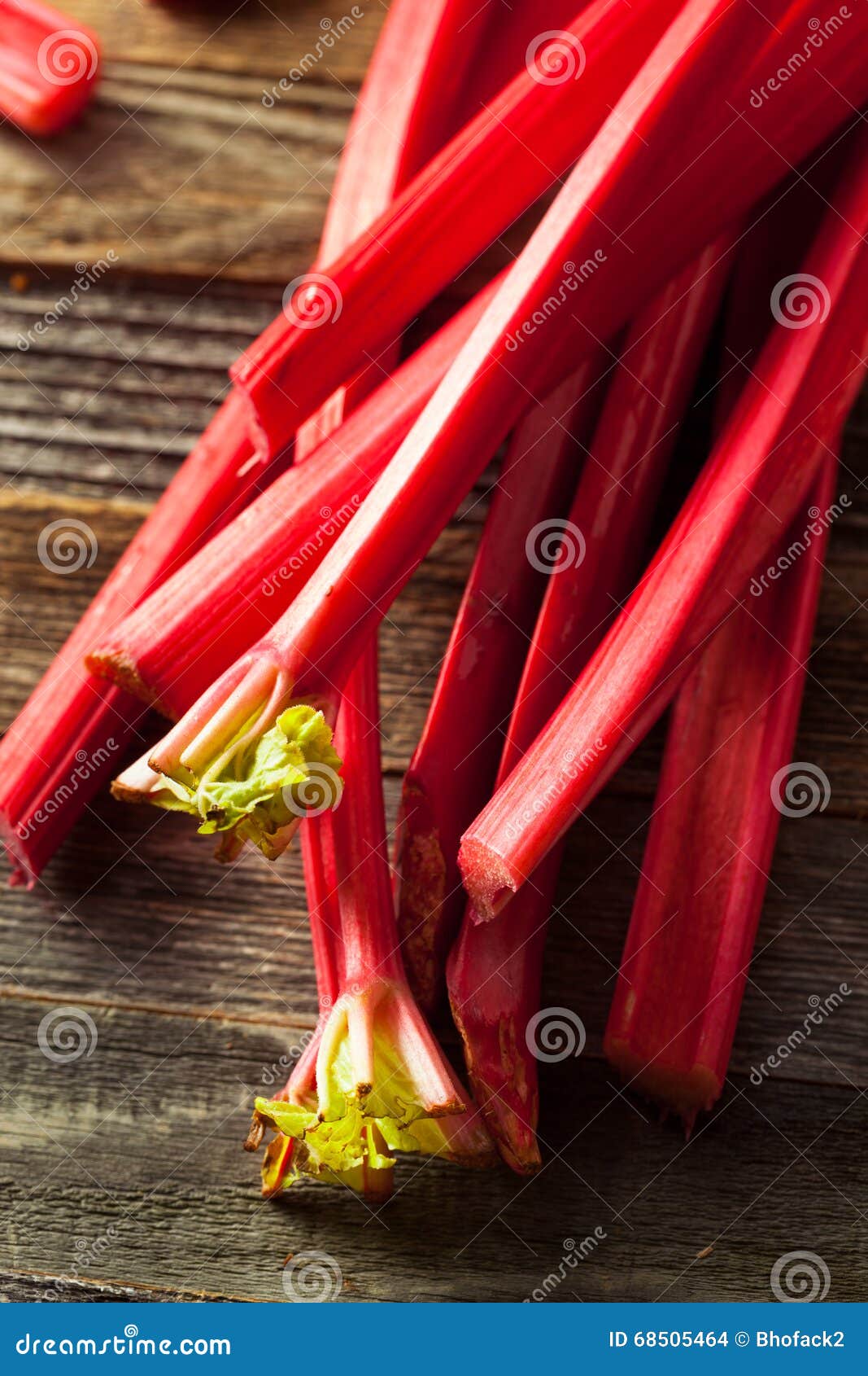 Raw Organic Red Rhubarb stock photo. Image of fresh, garden - 68505464