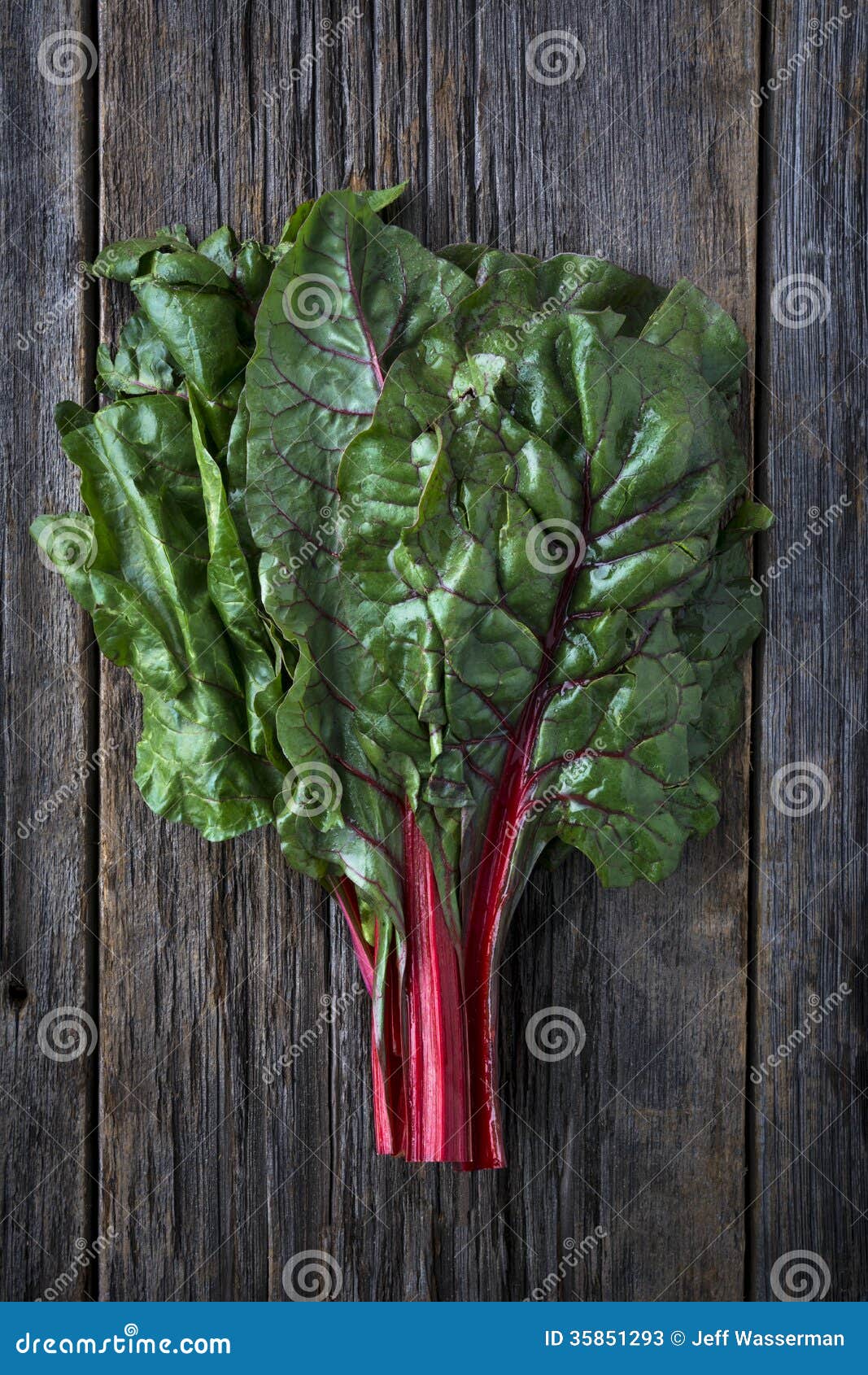 Raw Organic Red Ruby Swiss Chard Stock Image - Image of vegetarian ...