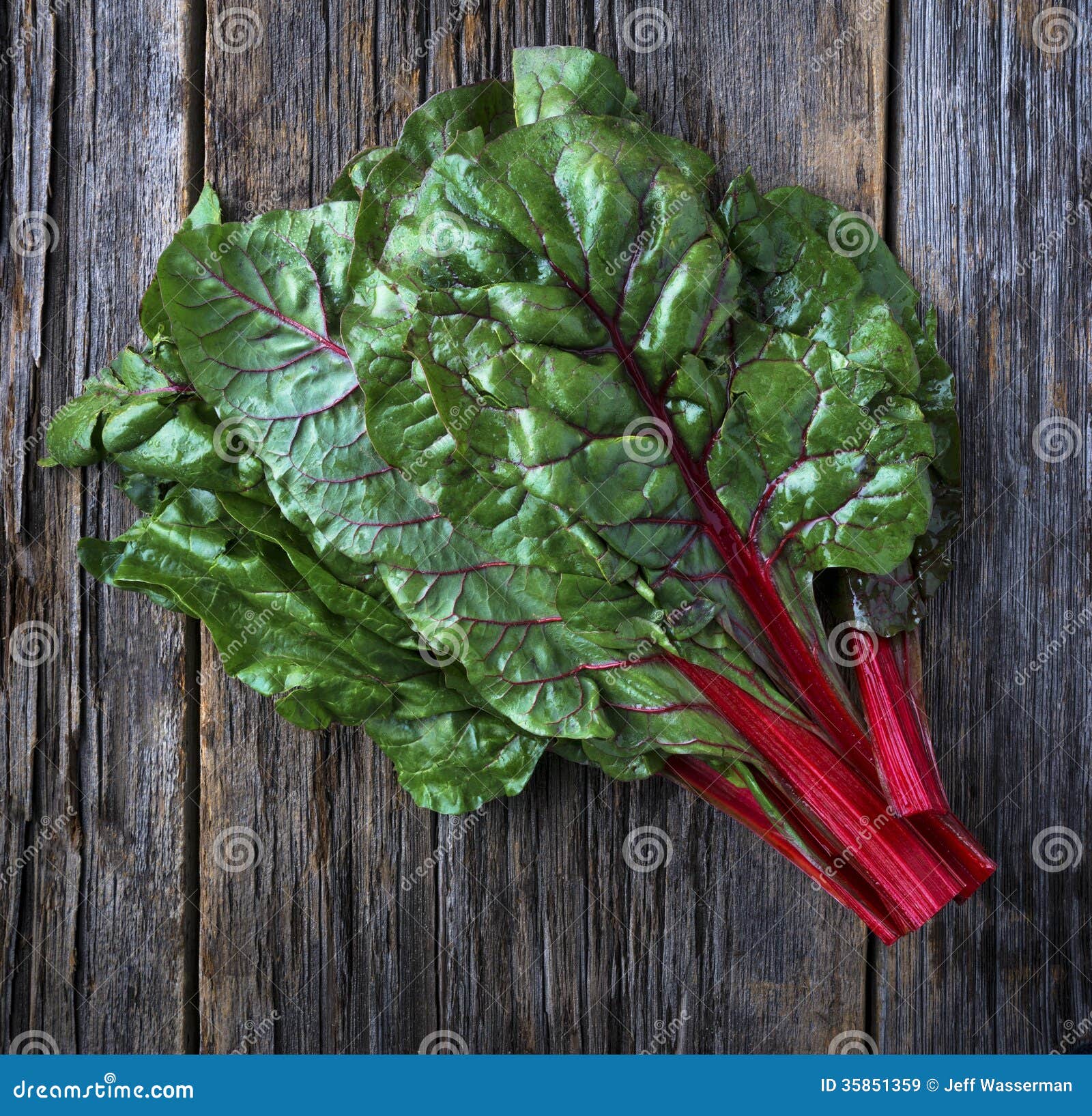 Raw Organic Red Ruby Swiss Chard Stock Image - Image of leafy ...
