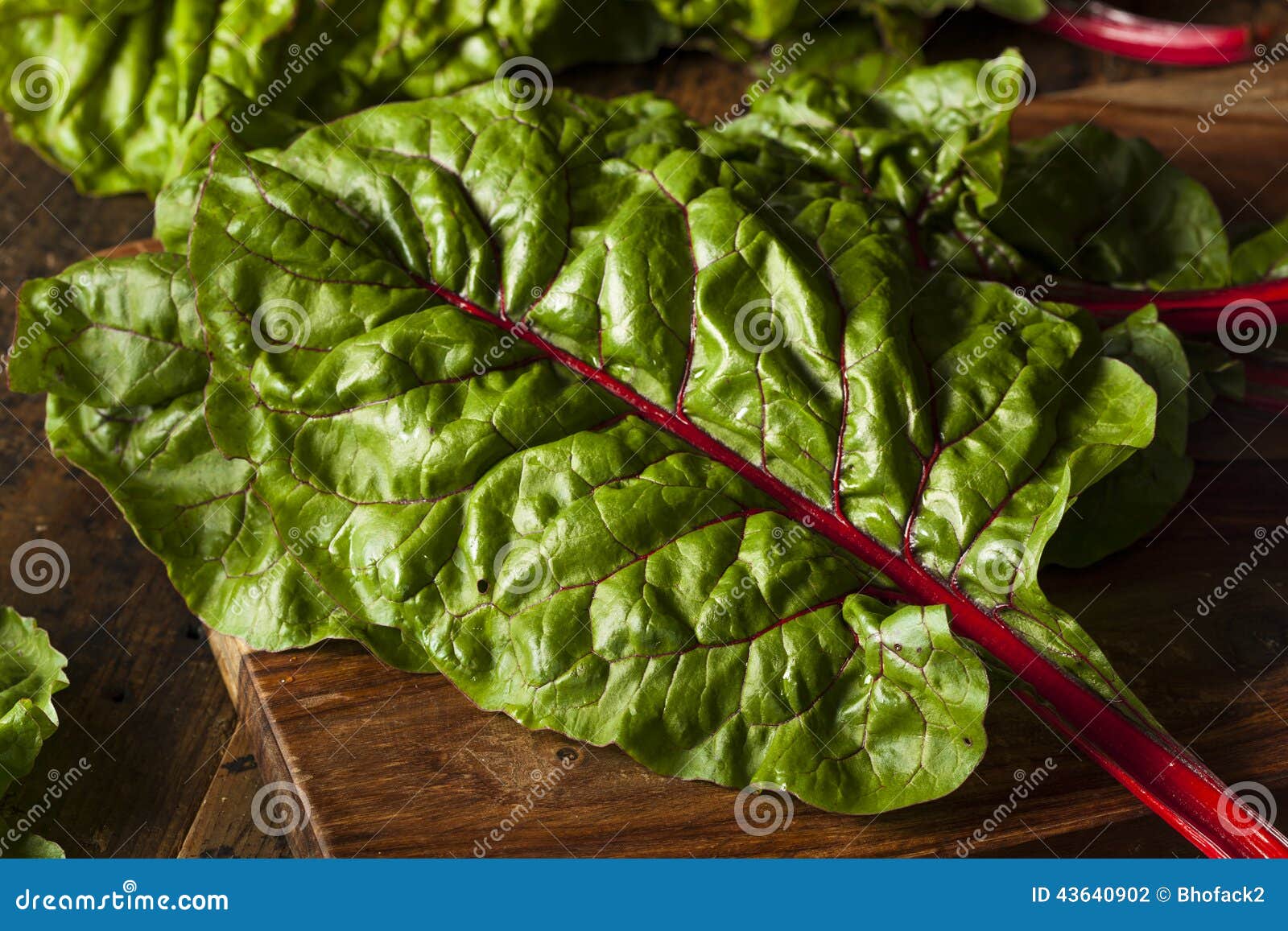 Raw Organic Red Swiss Chard Stock Photo - Image of vegan, vegetable ...