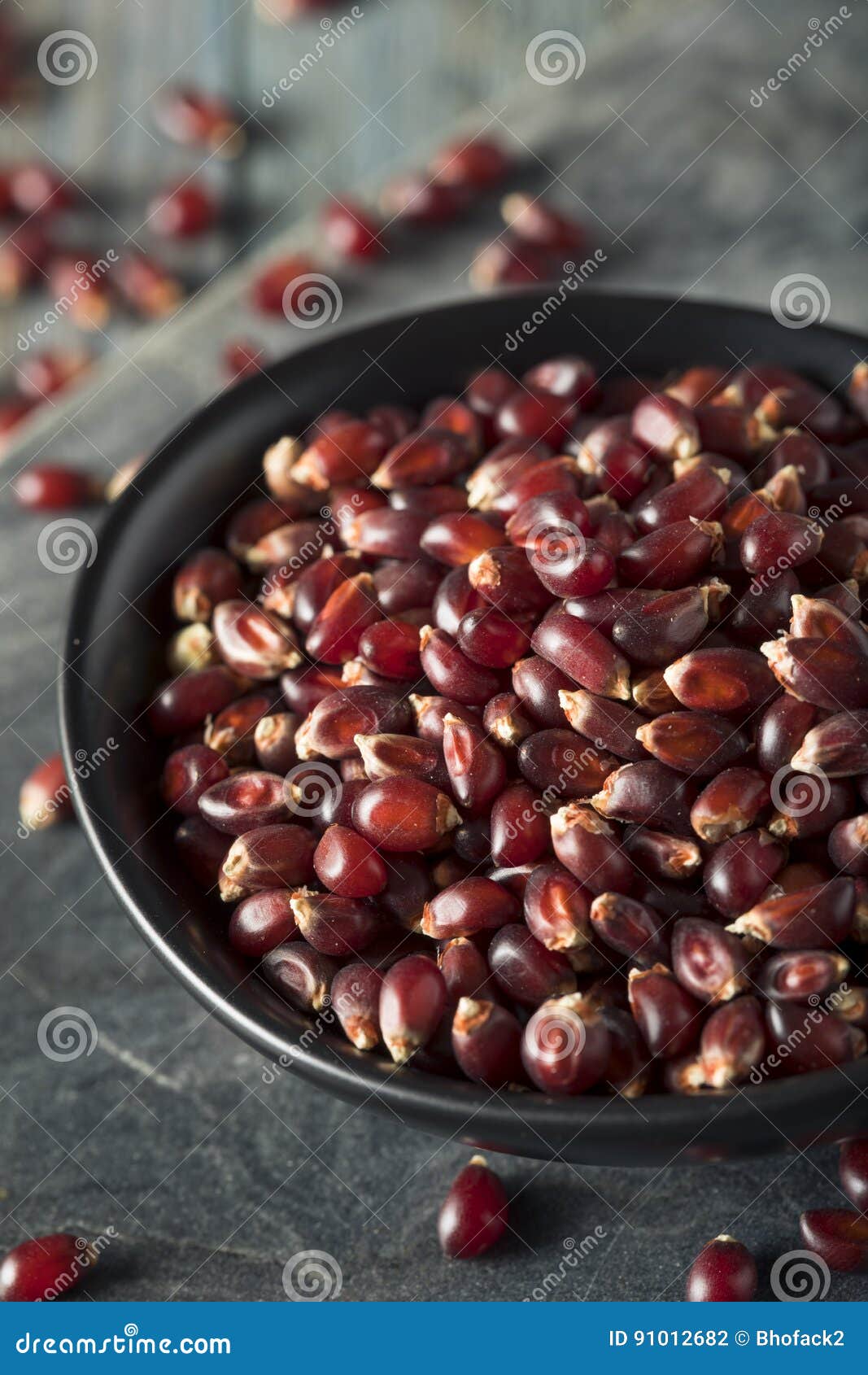 Raw Organic Ruby Red Pop Corn Stock Photo - Image of delicious, maize ...