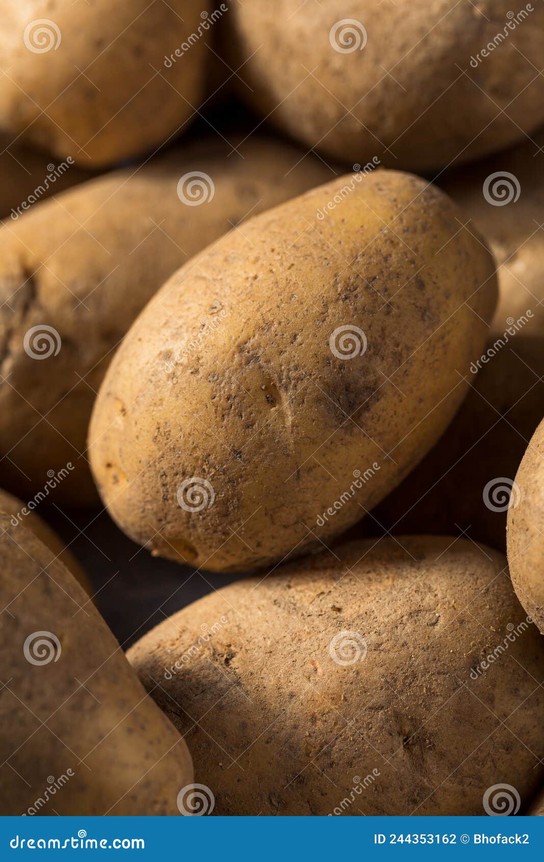 Raw Organic Russet Potatoes Stock Photo - Image of background, heap ...