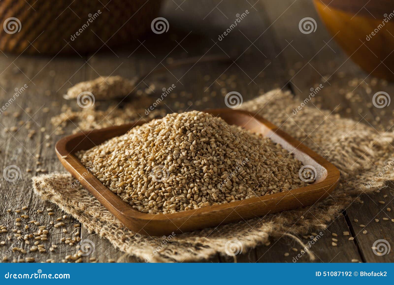Raw Organic Sesame Seeds stock photo. Image of grain - 51087192