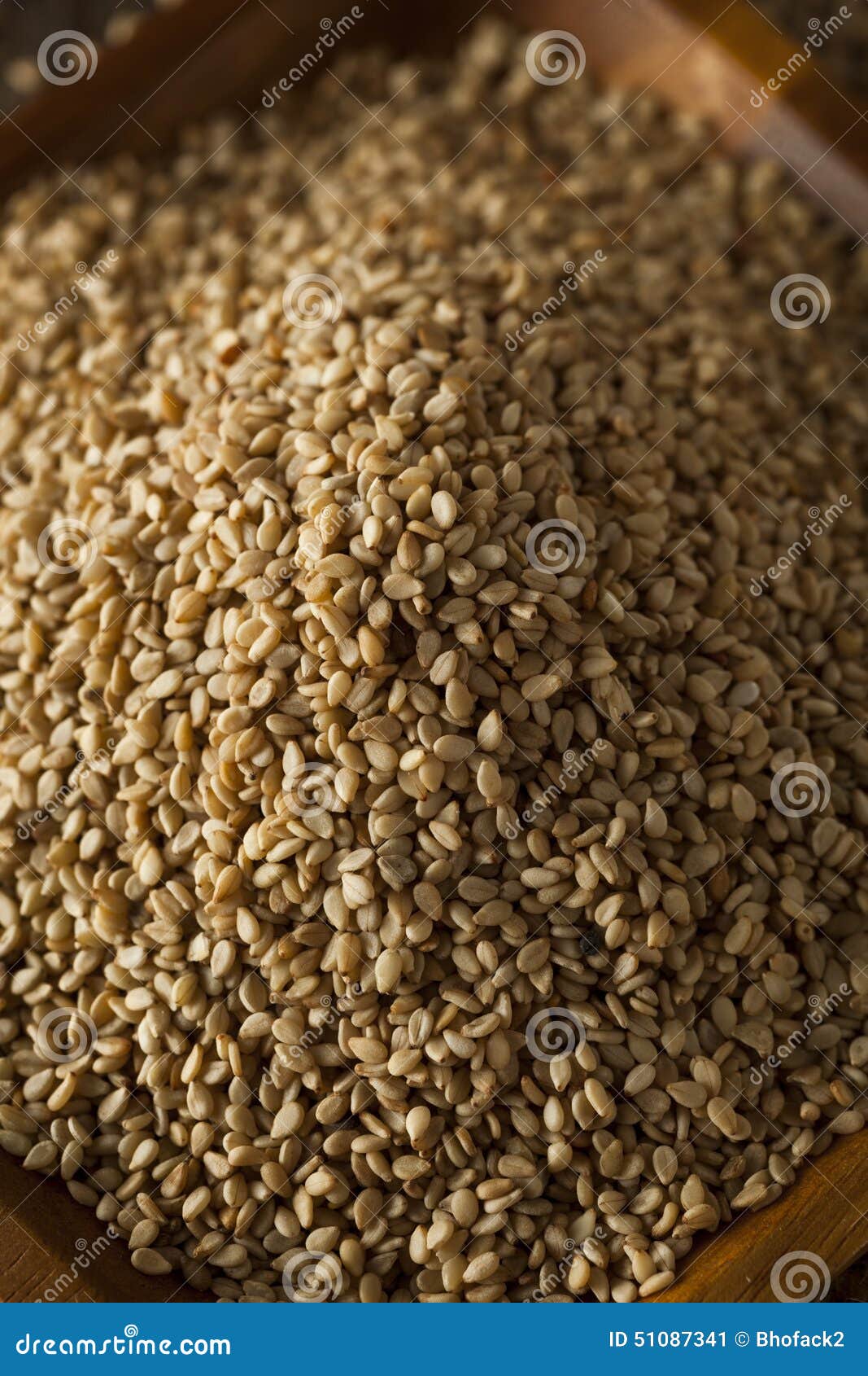 Raw Organic Sesame Seeds stock image. Image of healthy - 51087341