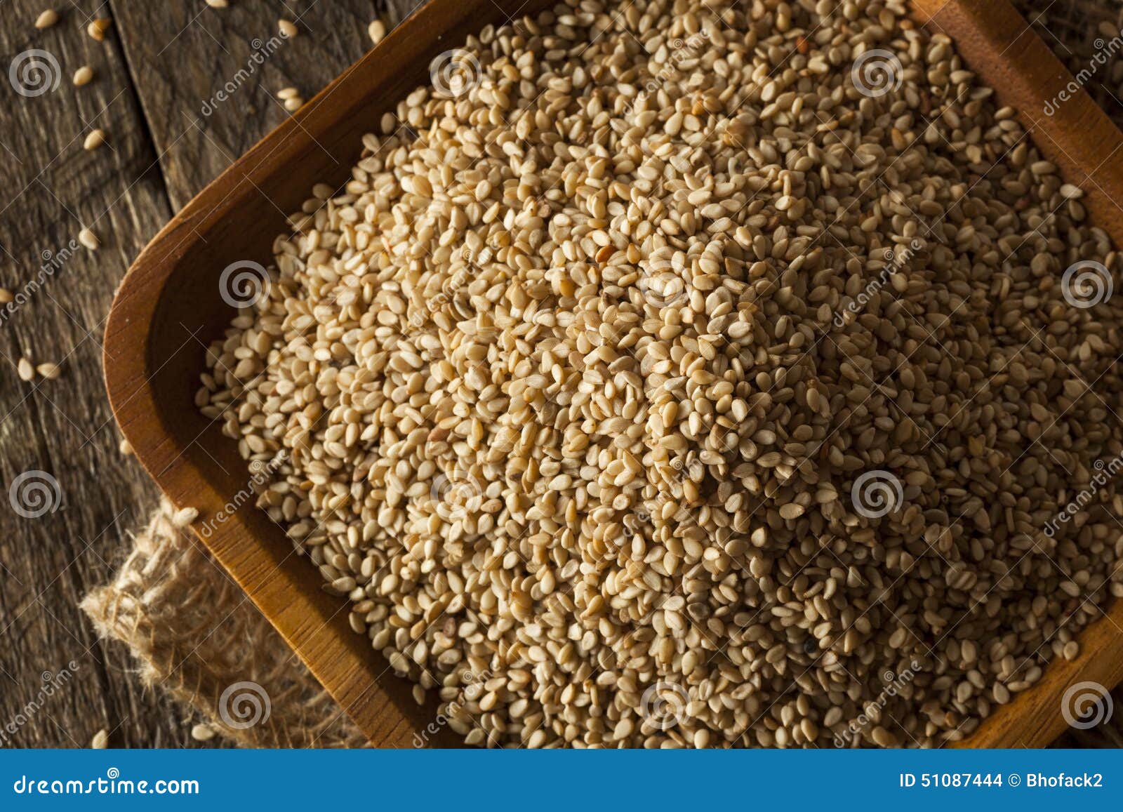 Raw Organic Sesame Seeds stock photo. Image of nutrition - 51087444