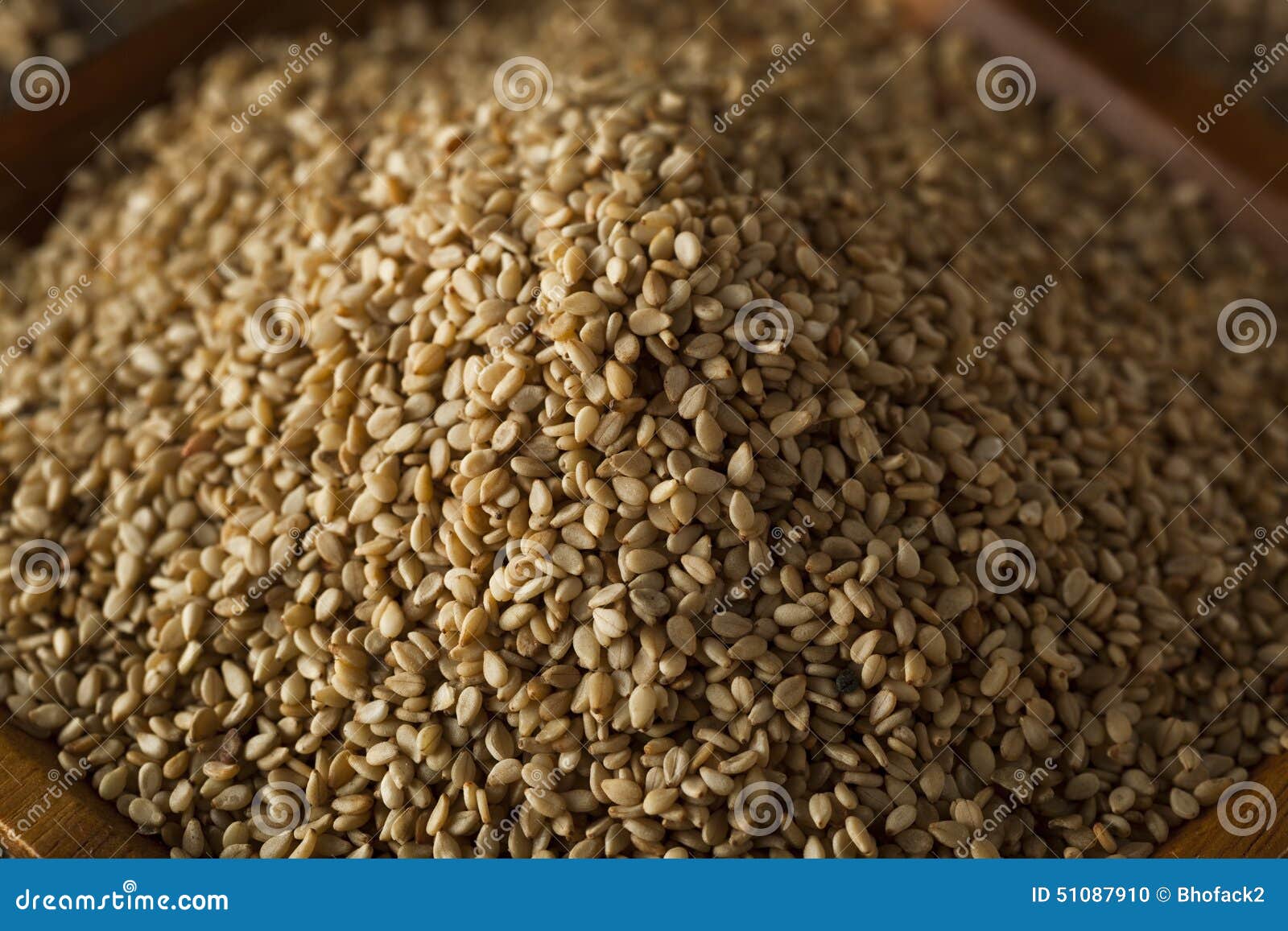 Raw Organic Sesame Seeds stock photo. Image of crop, pile - 51087910