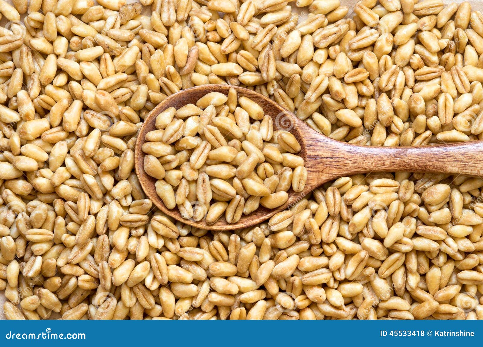 Raw organic spelt stock photo. Image of seeds, food, health - 45533418