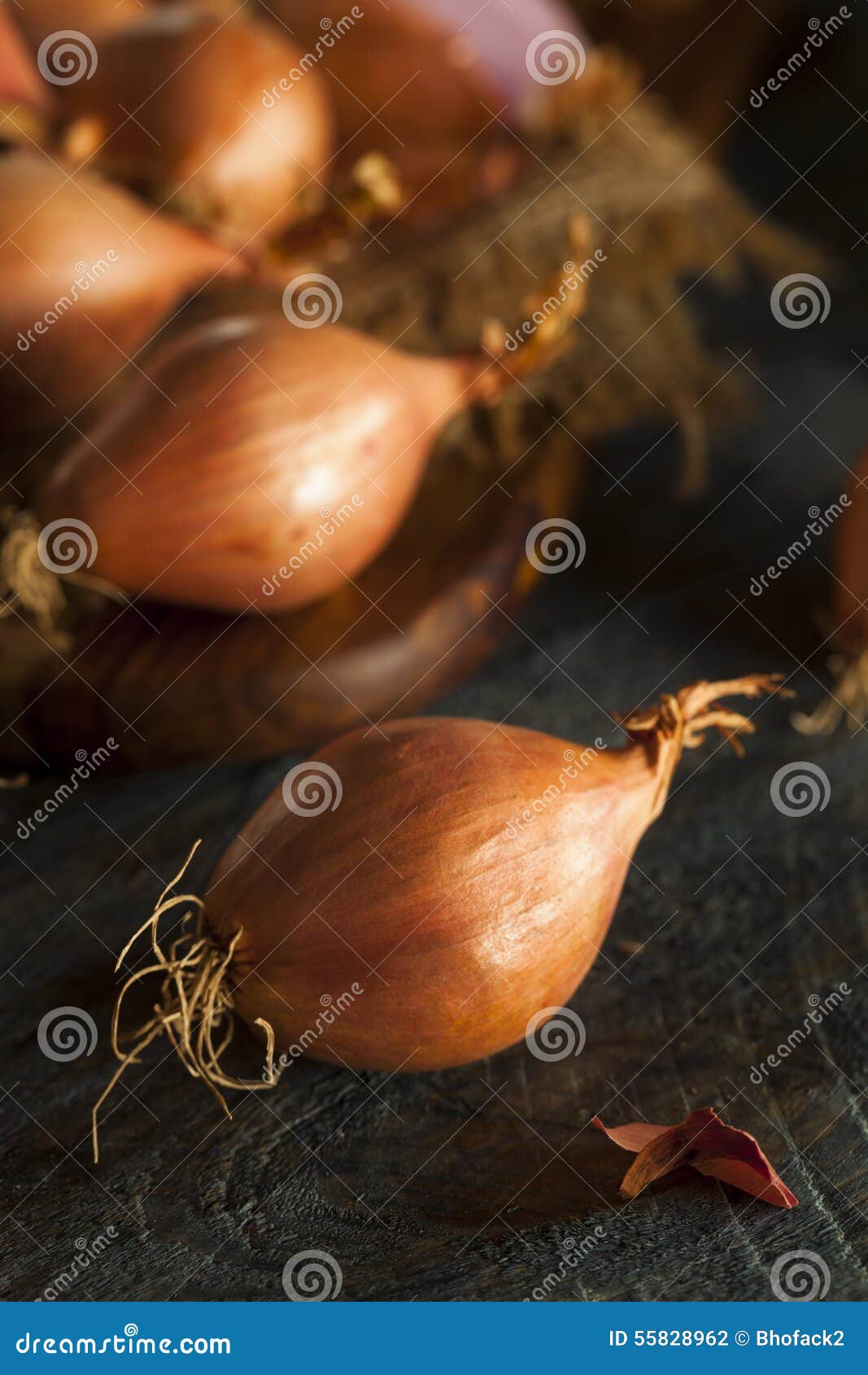 Raw Organic Spicy Shallots stock photo. Image of group - 55828962