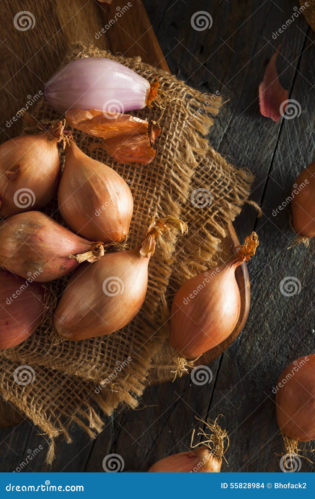 Raw Organic Spicy Shallots stock photo. Image of edible - 55828984