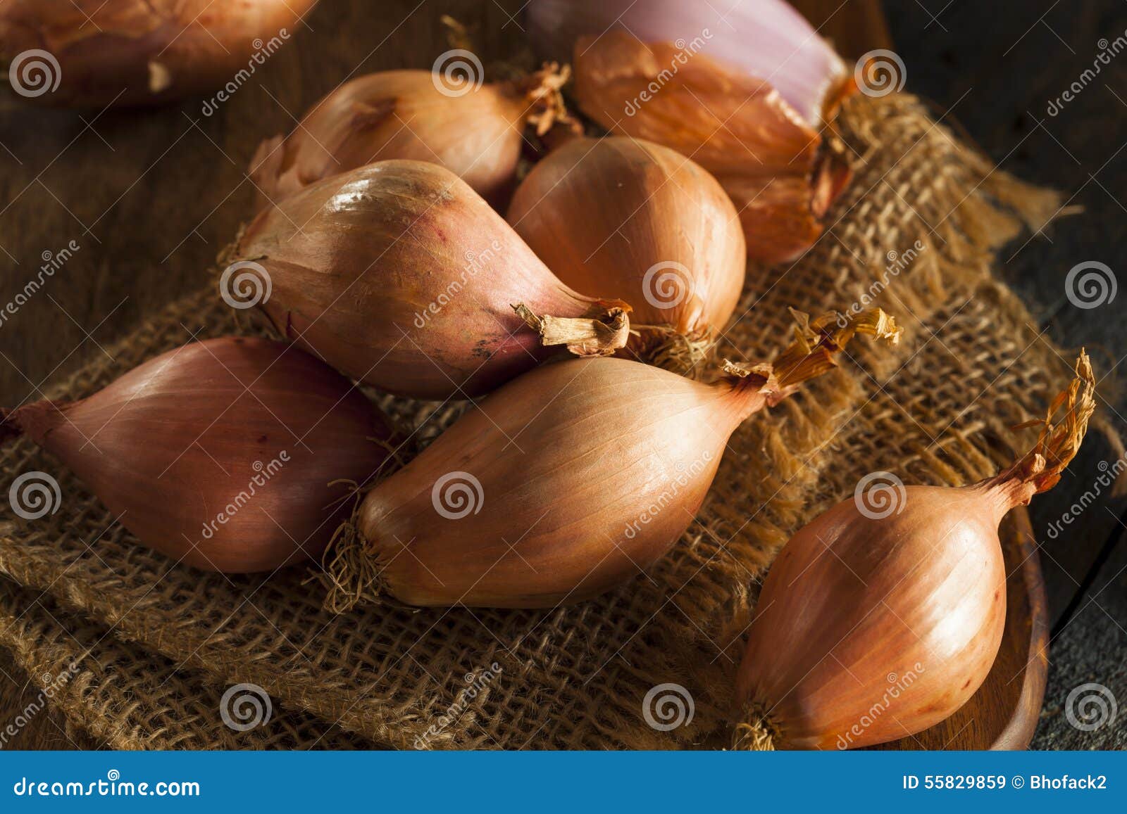 Raw Organic Spicy Shallots stock image. Image of shallots - 55829859