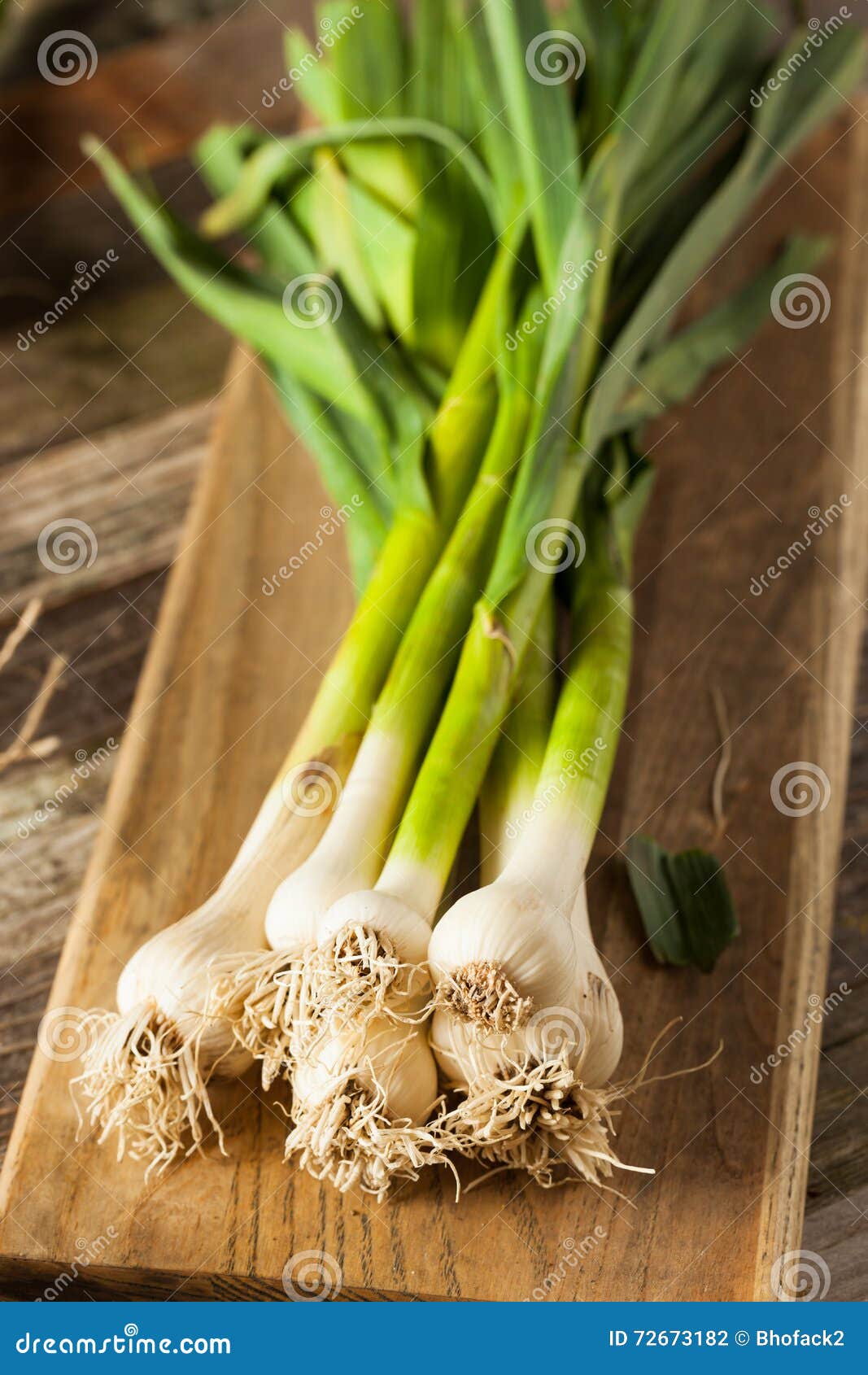 Raw Organic Spring Garlic stock photo. Image of ingredients - 72673182