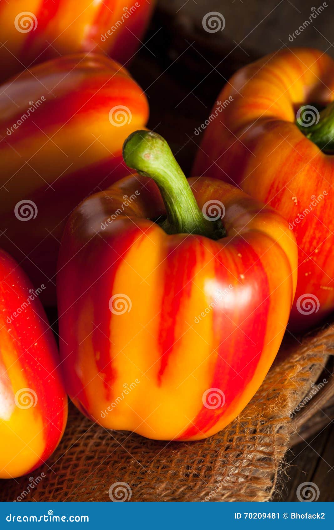 Raw Organic Striped Red Bell Pepper Stock Image - Image of gourmet ...