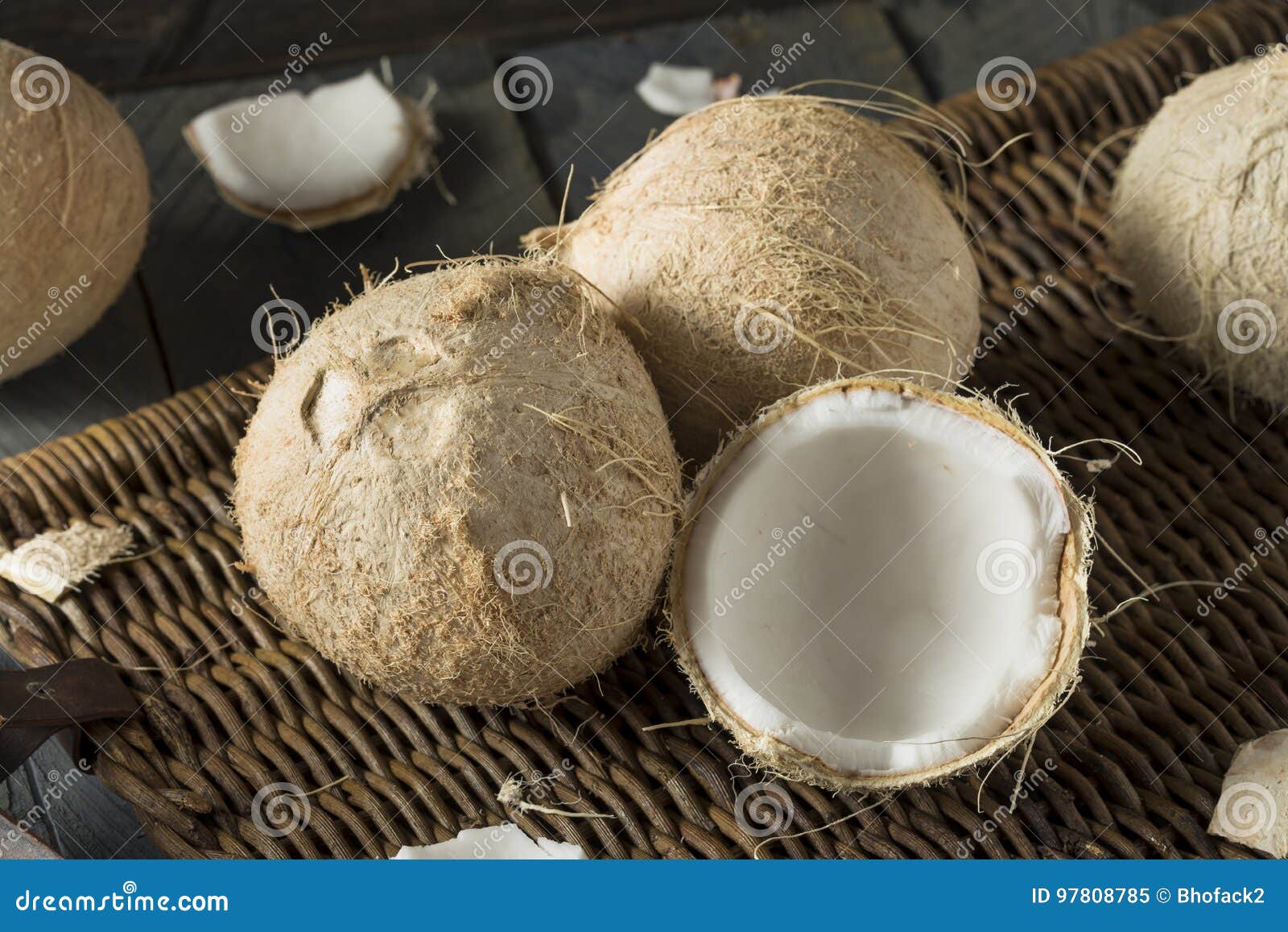 Raw Organic White Coconuts stock image. Image of exotic - 97808785