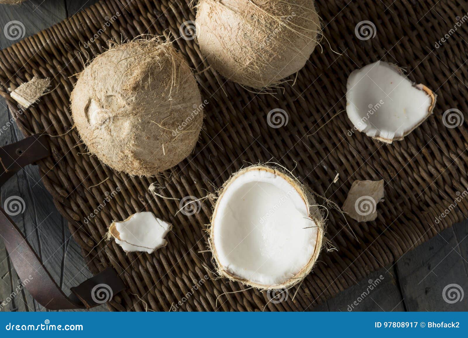 Raw Organic White Coconuts stock image. Image of coco - 97808917