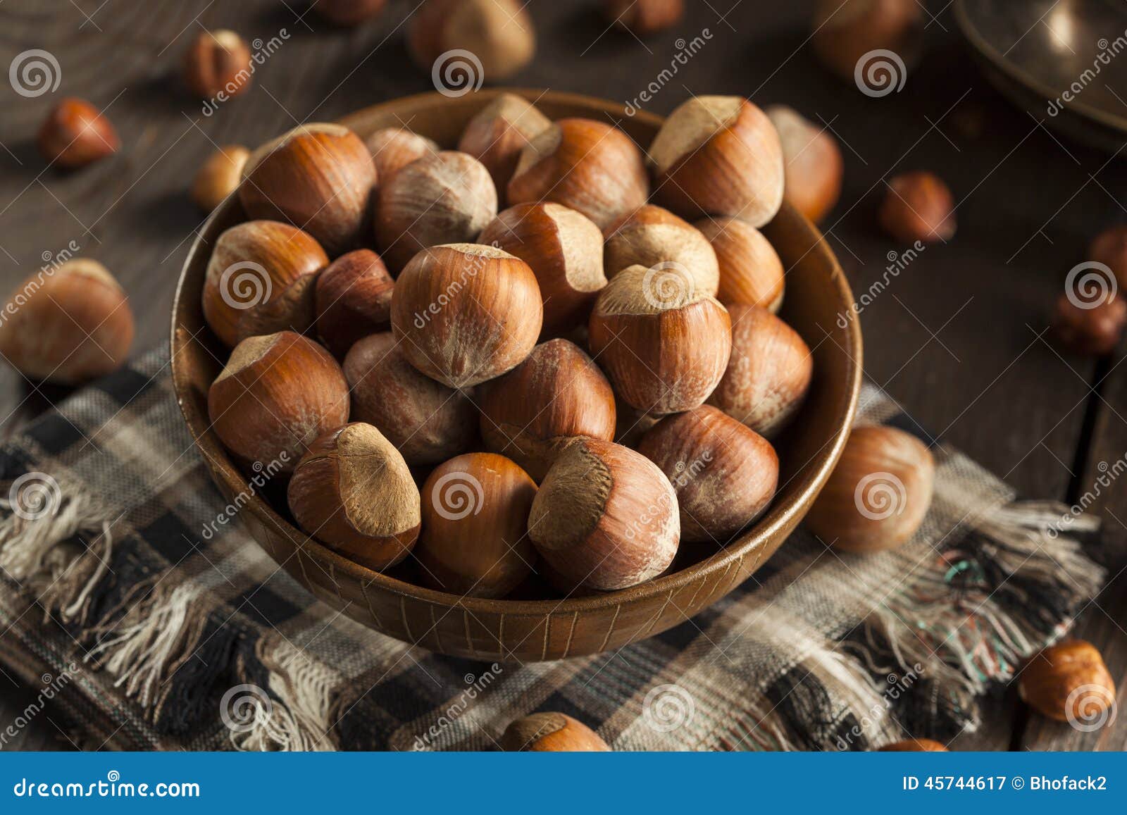 Raw Organic Whole Hazelnuts Stock Image - Image of dried, hazel: 45744617