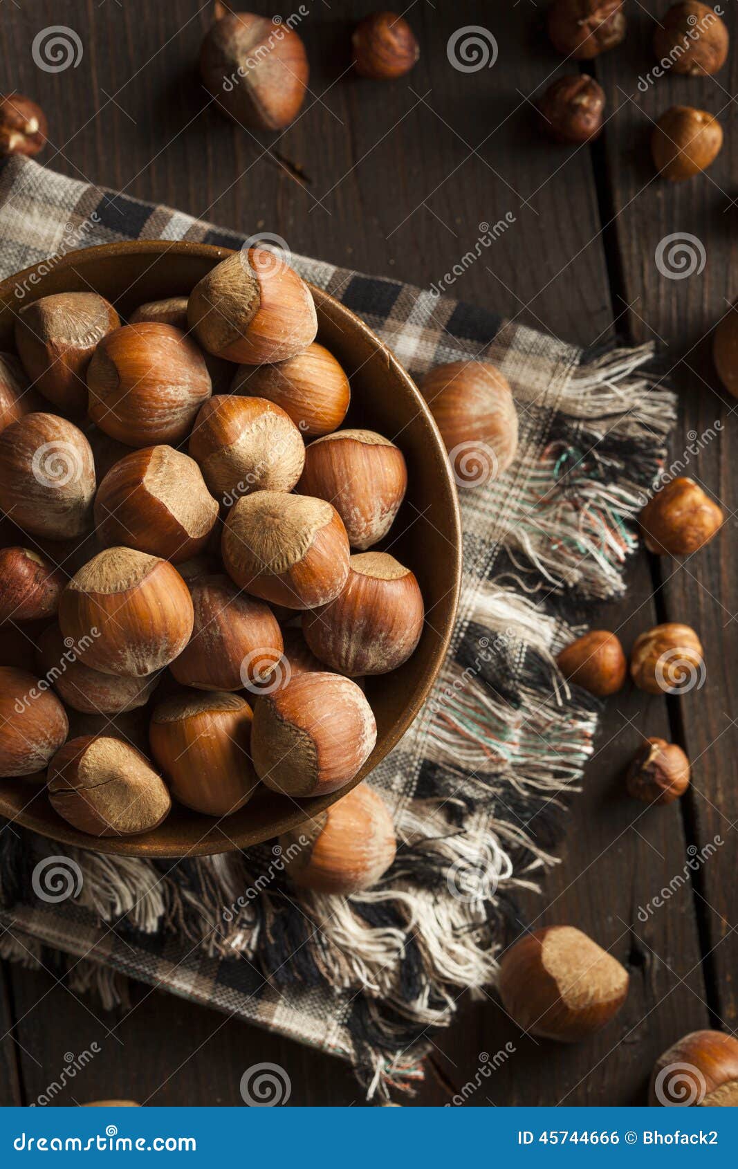Raw Organic Whole Hazelnuts Stock Photo - Image of heap, nuts: 45744666