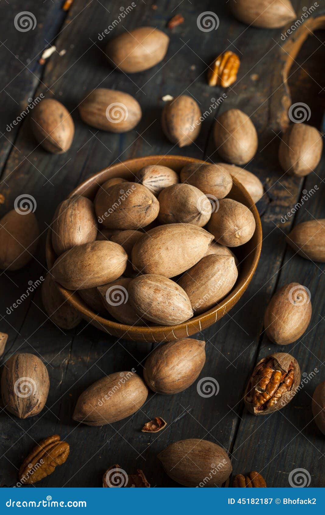 Raw Organic Whole Pecans stock image. Image of shelled - 45182187