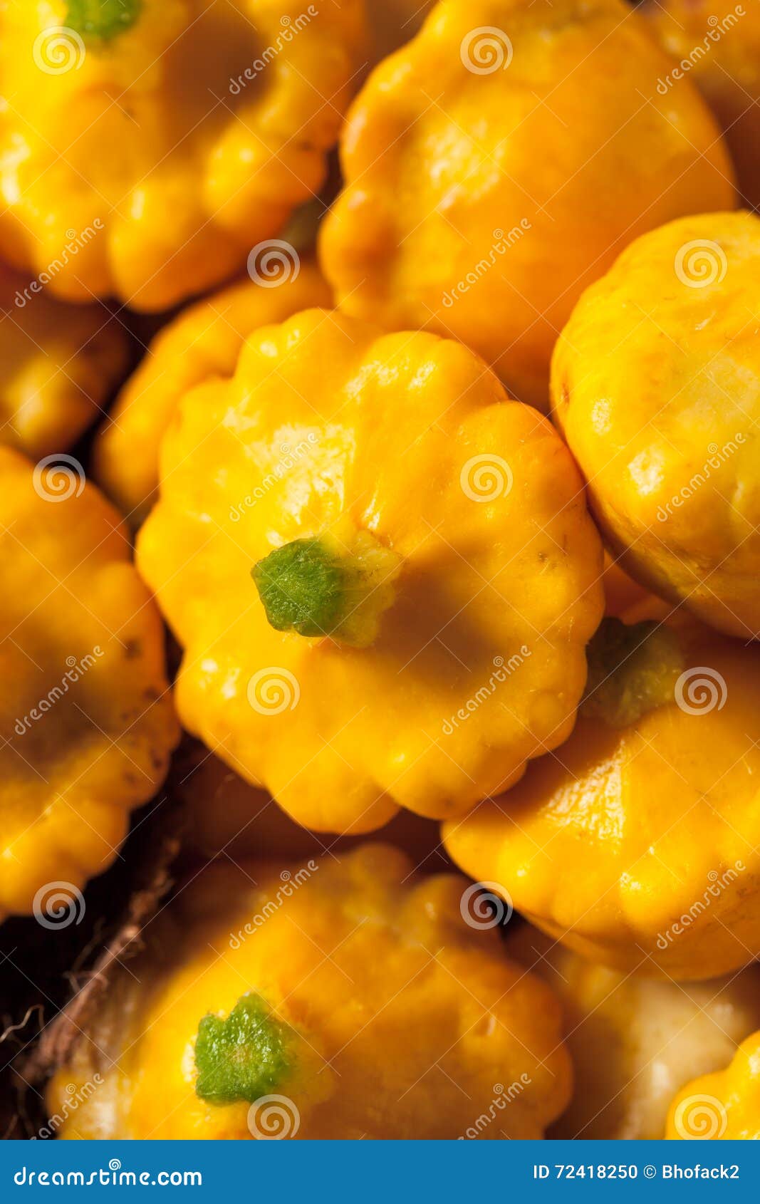 Raw Organic Yellow Pattypan Squash Stock Photo - Image of diet, organic ...