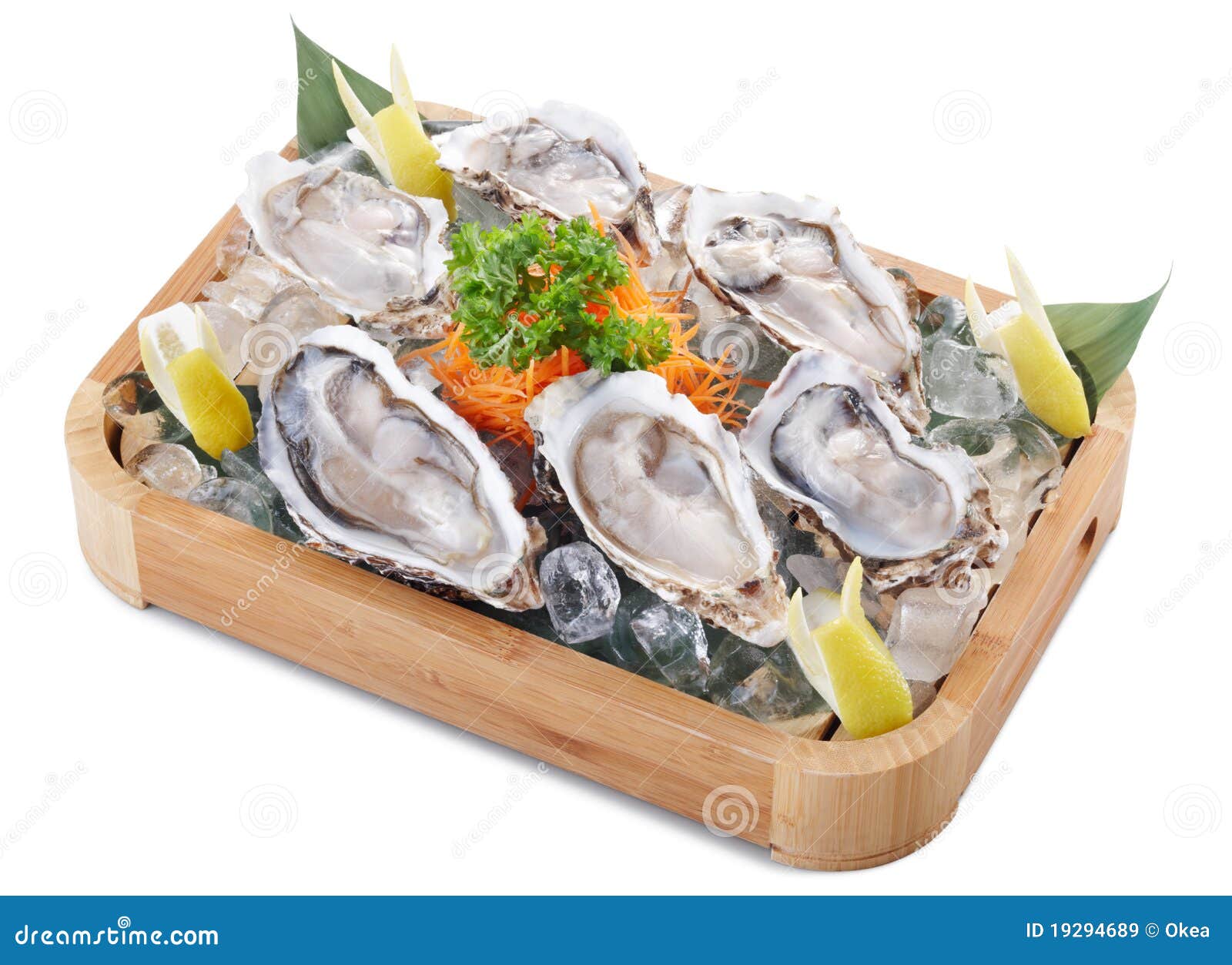 Raw oyster stock image. Image of fresh, oyster, white - 19294689