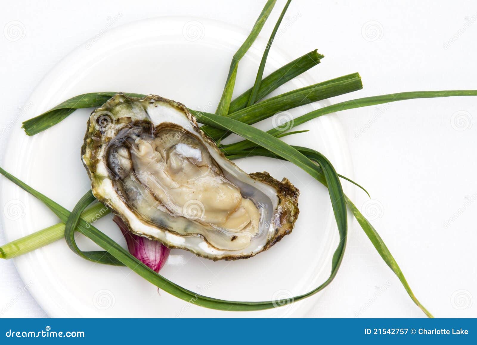 Raw Oyster stock image. Image of lunch, oyster, food - 21542757